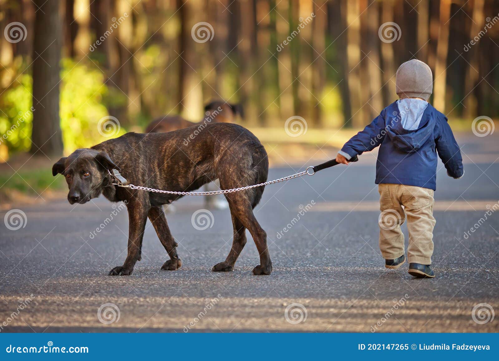 Little Boy Child and Dog Together Outdoors, Back View Editorial Image ...