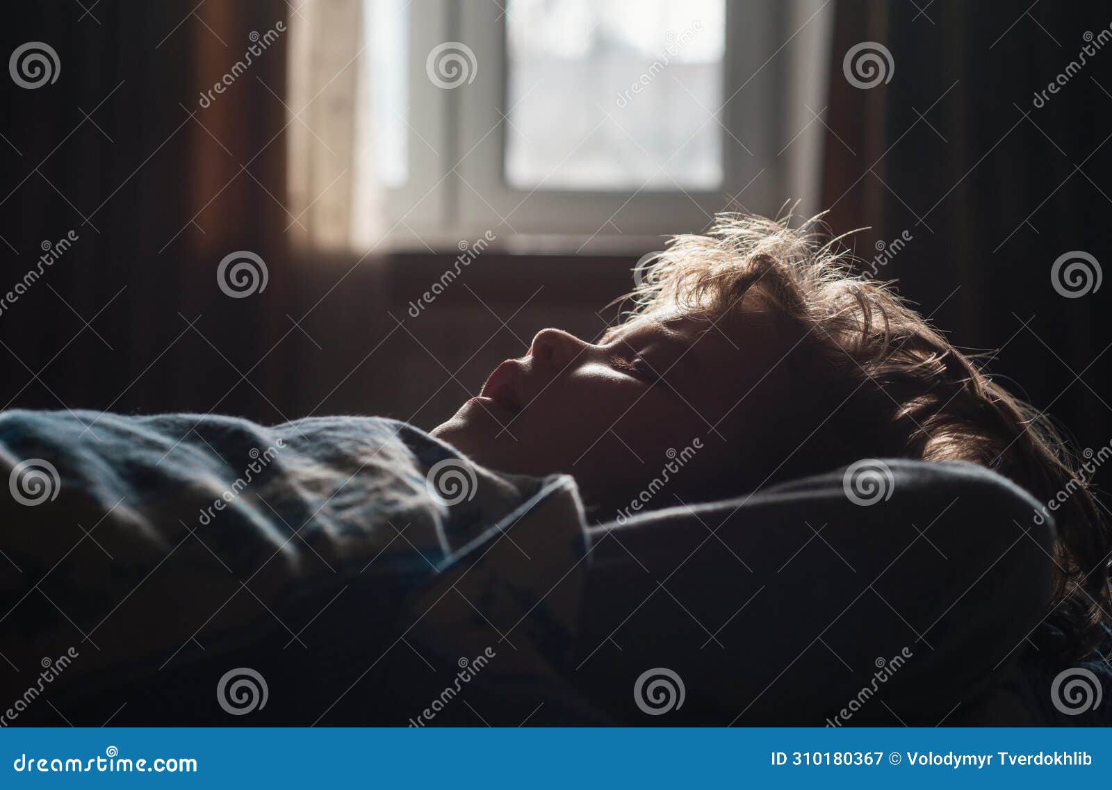 Little Boy Child Sleeping in the Bed. Quiet Sleep. Stock Image - Image ...