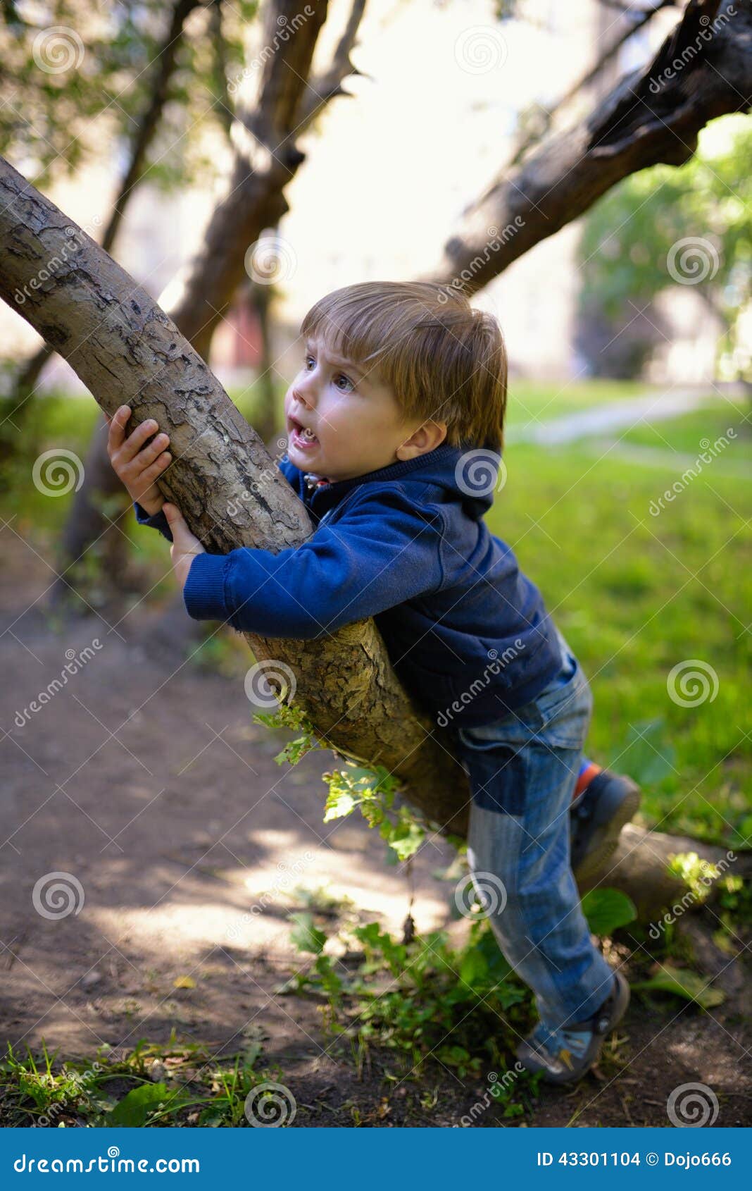 Little Boy Climb Up on Tree Stock Photo - Image of higher, walk: 43301104
