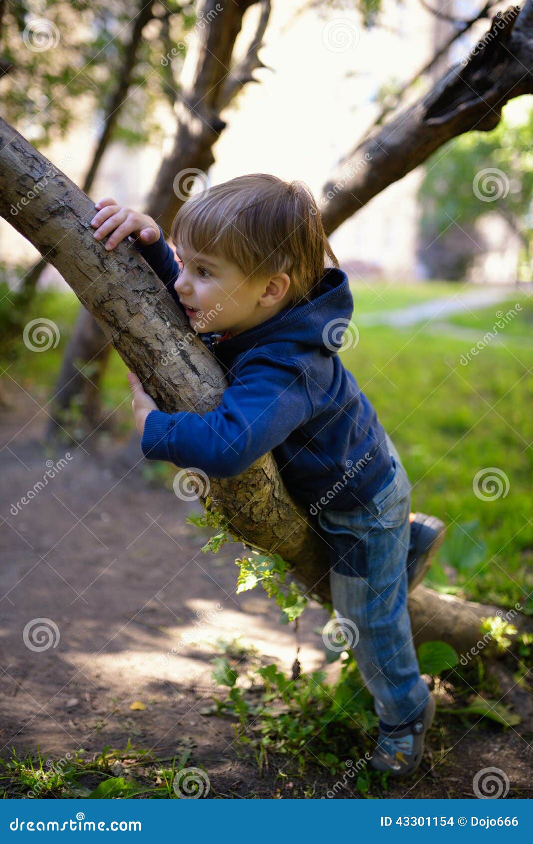 Little Boy Climb Up on Tree Stock Photo - Image of challenge, small ...