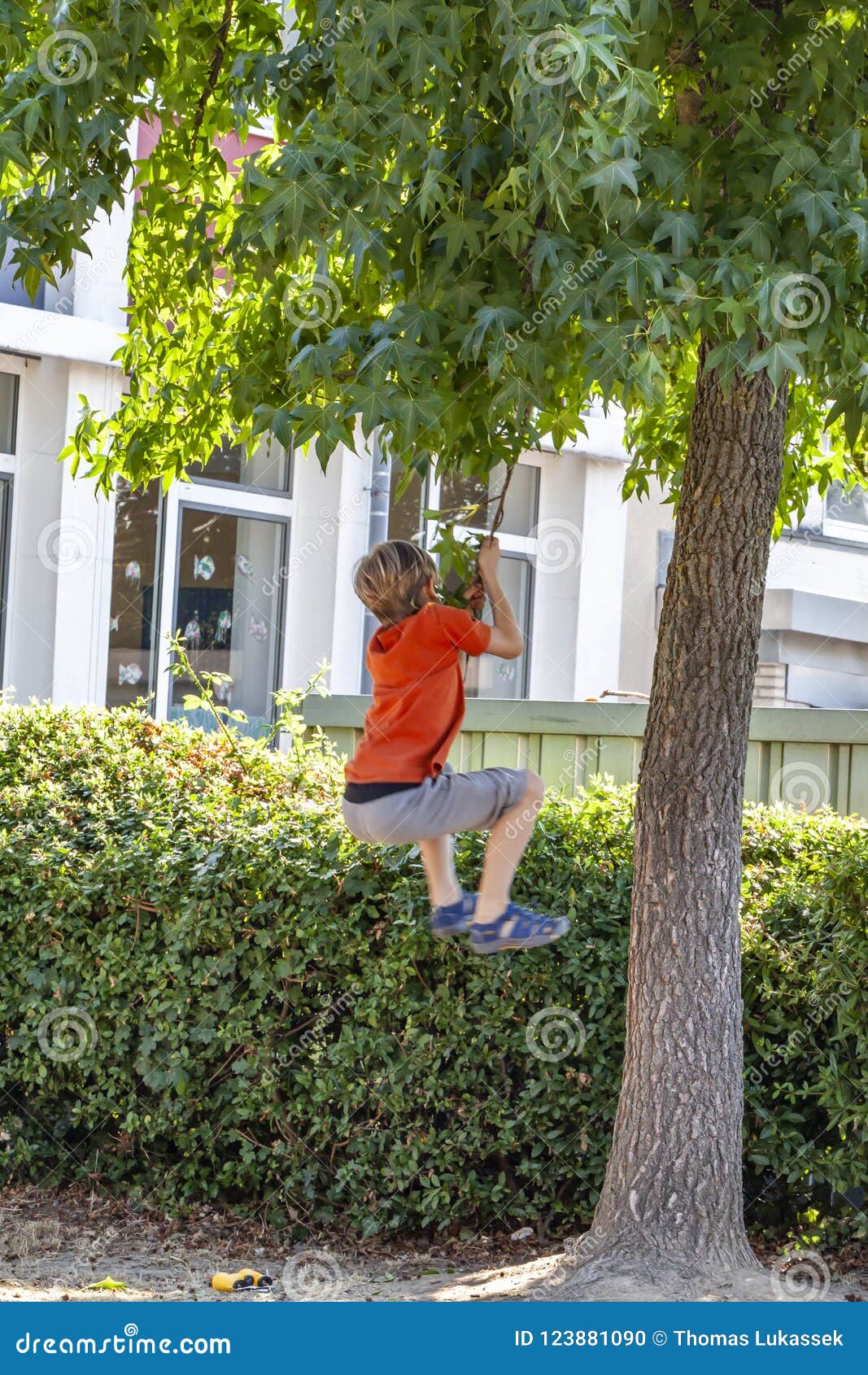 Little Boy Climbing Tree in the City Stock Photo - Image of people ...