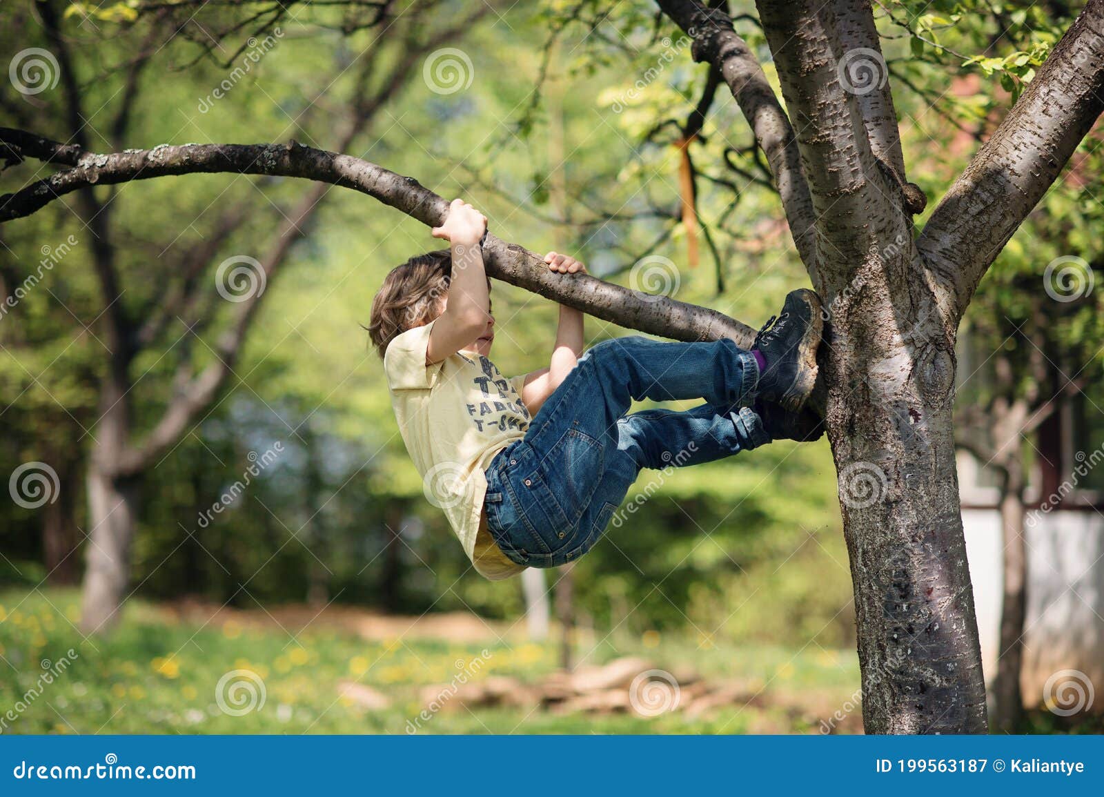 Little boy climbing tree stock image. Image of childhood - 199563187