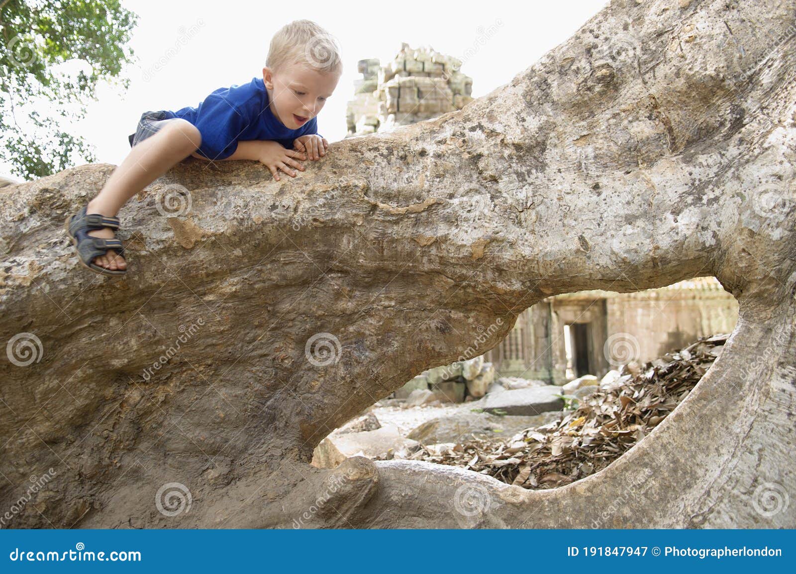 Little Boy Climbing on Tree Roots in Ruins Stock Image - Image of ...