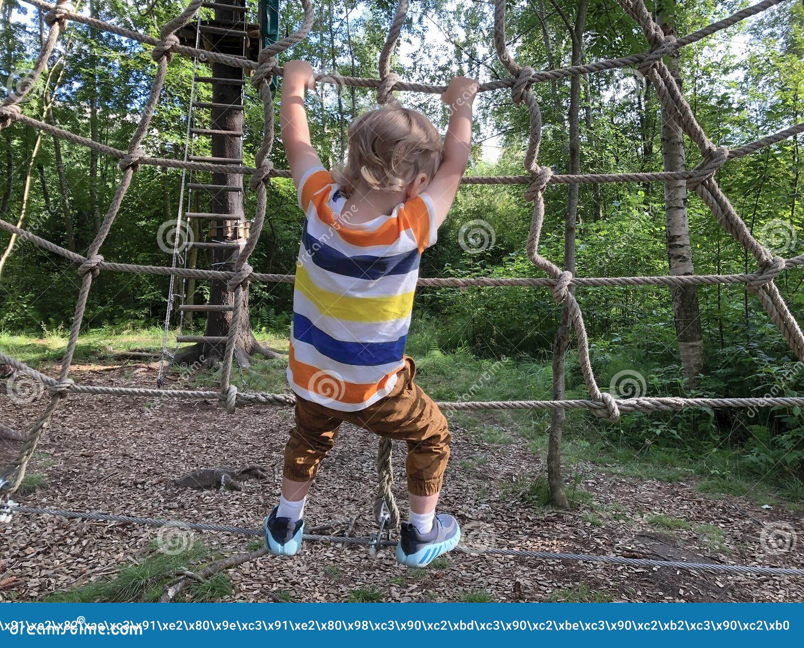 A Little Boy Climbs Lazy Ropes - a Cobweb Made of Rope. Stock Photo ...