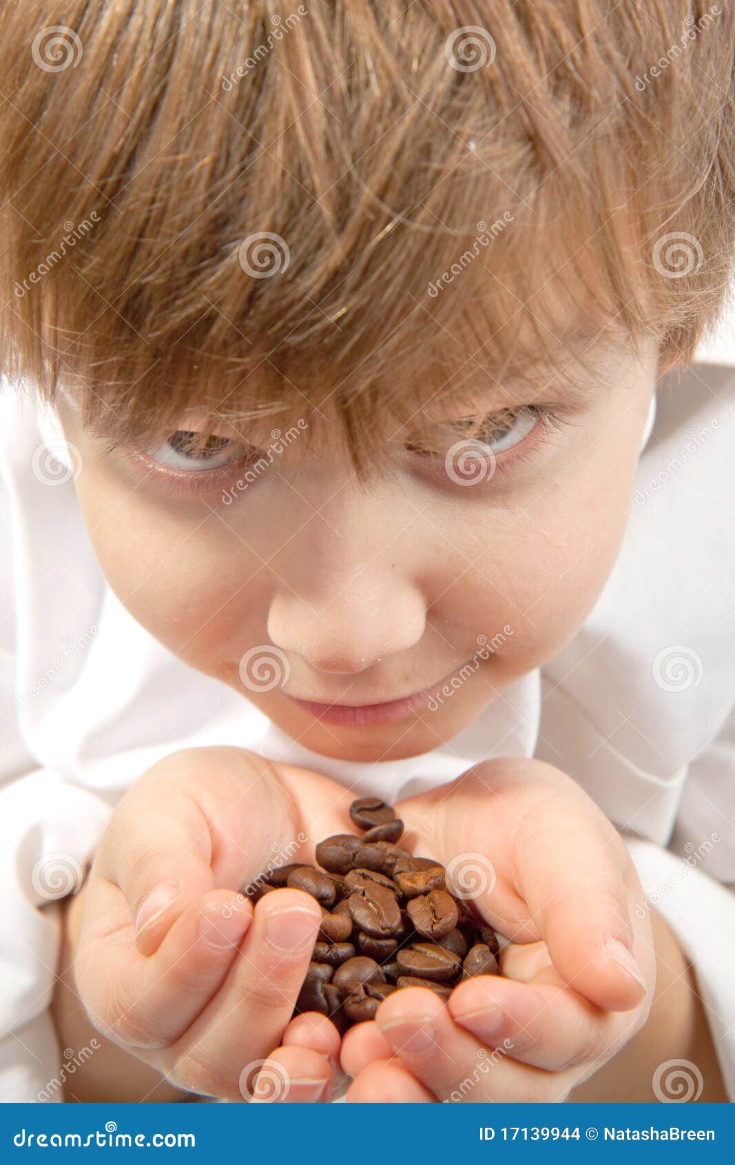 Little Boy with Coffee Beans Stock Photo - Image of aroma, happy: 17139944
