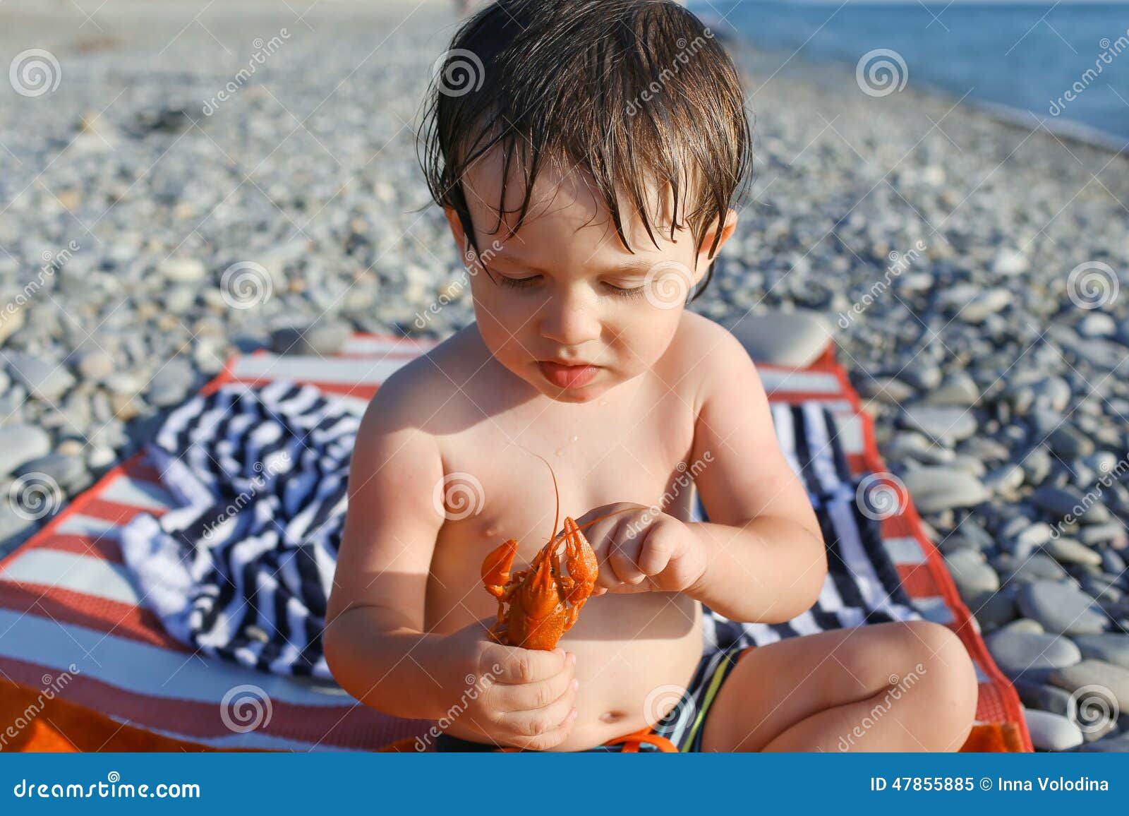 Little Boy with Crawfish on the Seaside Stock Image - Image of fish ...