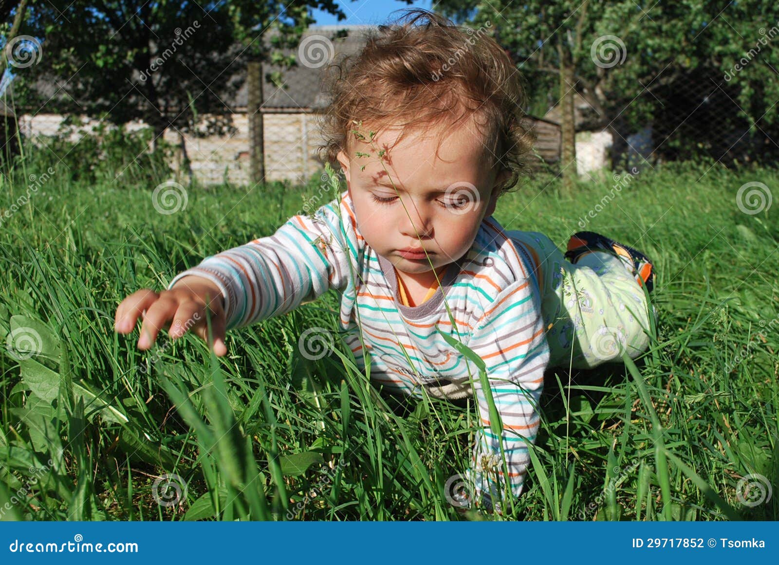 I still can not walk stock photo. Image of crawling, little - 29717852