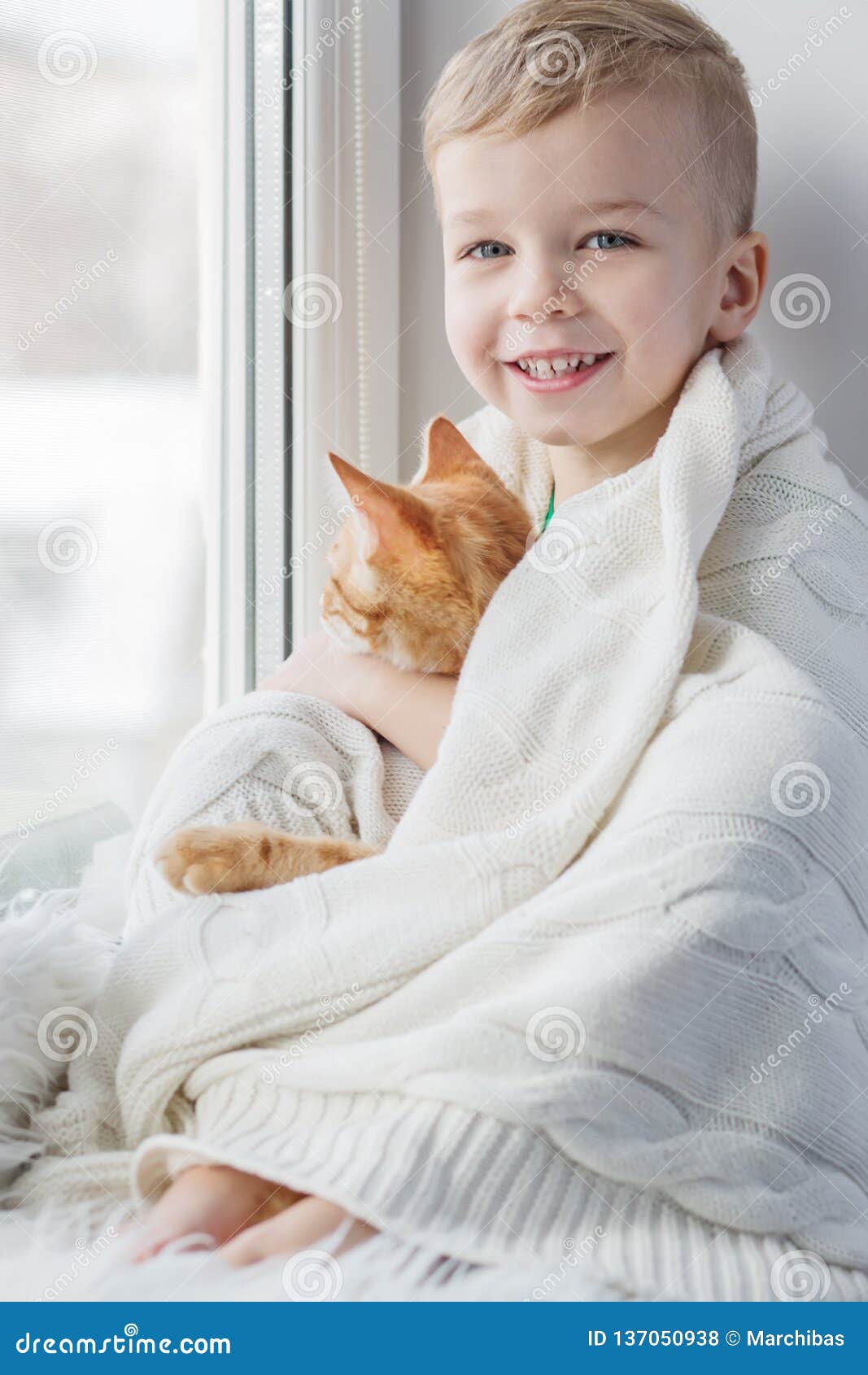 Little Boy with Cute Cat at Home Stock Photo - Image of little, casual ...