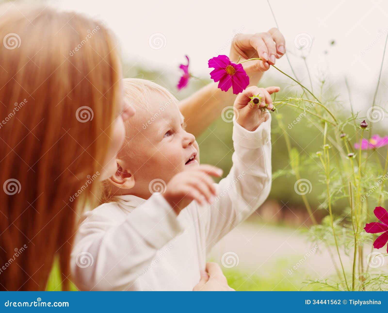 Little Boy Die Bloem Ruiken Stock Foto - Image of europees, gezicht ...