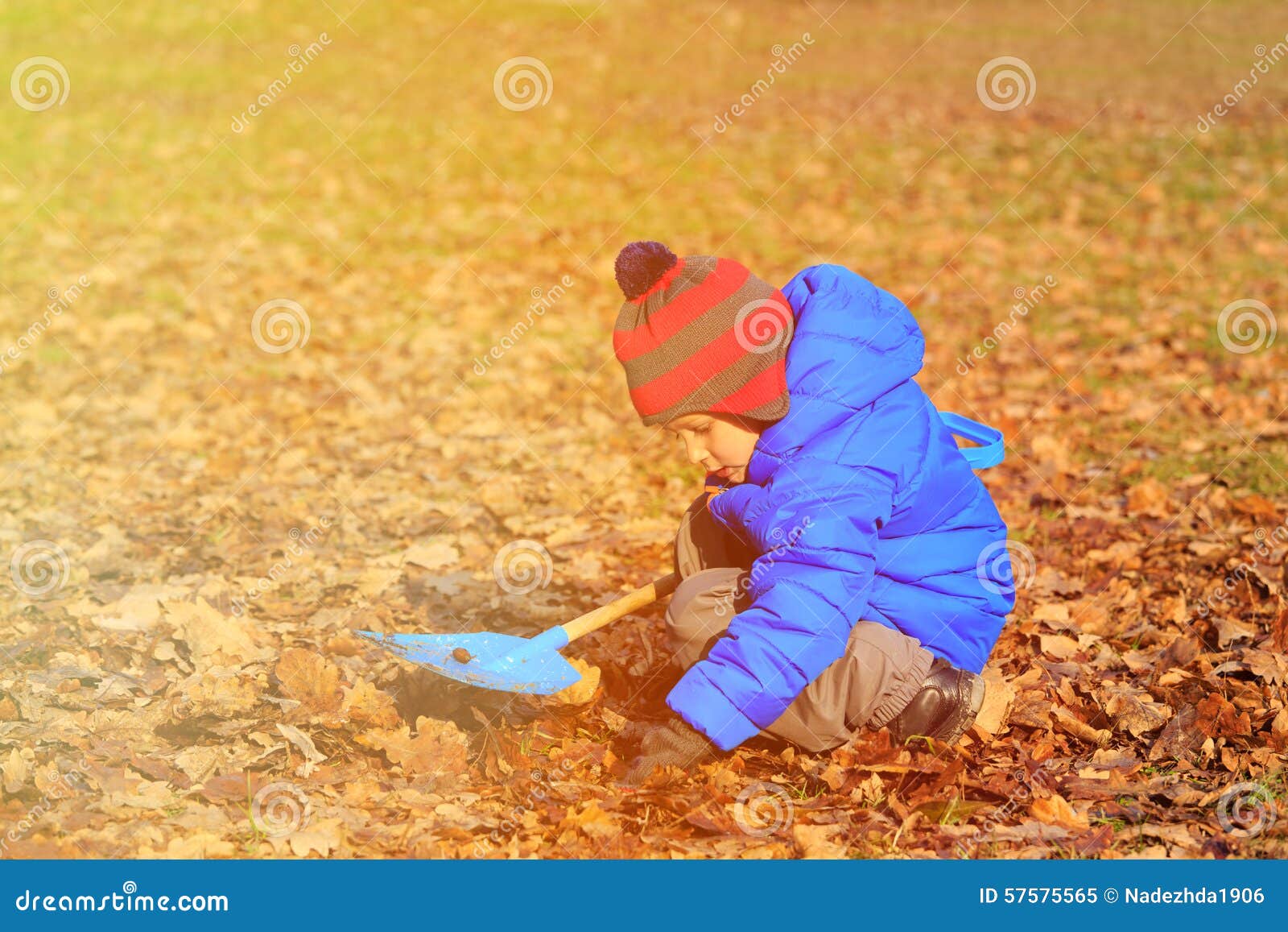 Little Boy Digging in Autumn Park Stock Image - Image of nature ...