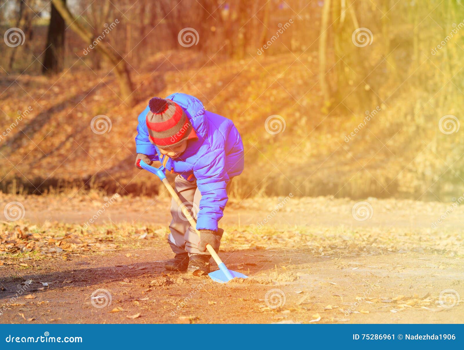 Little Boy Digging in Fall, Autumn Kids Activities Stock Image - Image ...