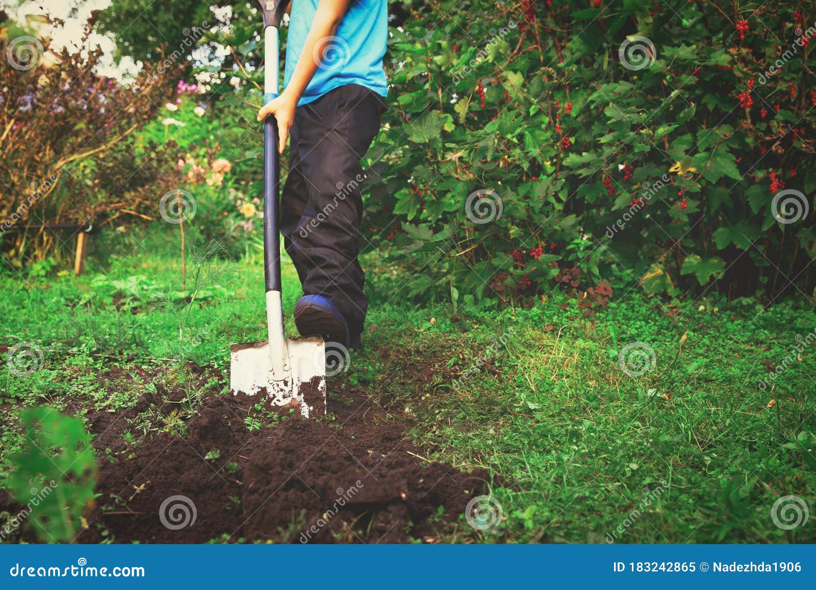 Little Boy Digging in the Garden Stock Image - Image of active, rural ...