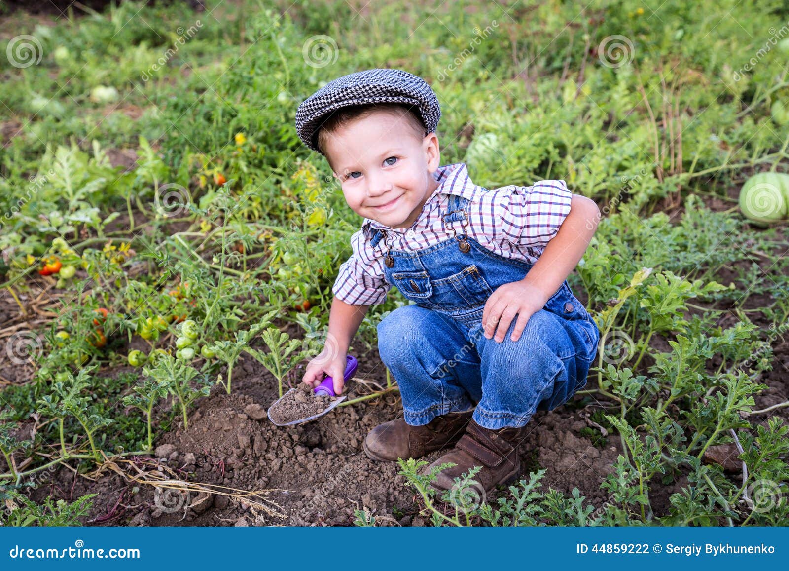 Little Boy Digging in Garden Stock Photo - Image of organic, crop: 44859222