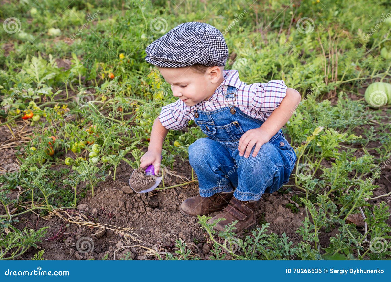 Little Boy Digging in Garden Stock Photo - Image of crop, ground: 70266536