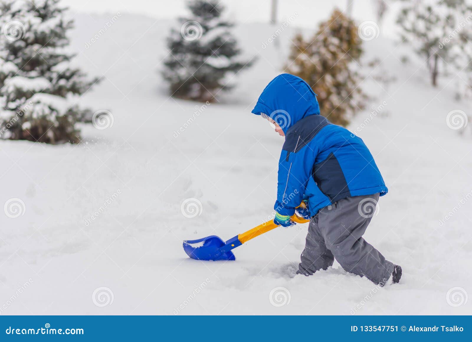 A Little Boy is Digging Snow with a Shovel in the Winter Stock Image ...