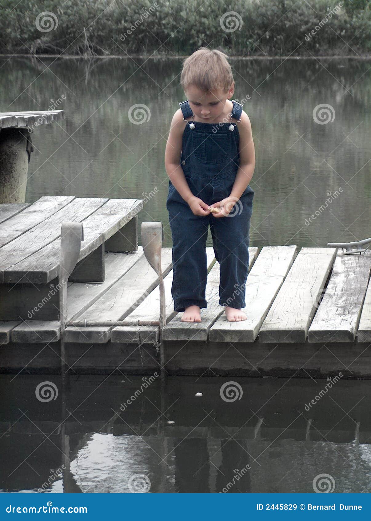 Little boy on dock stock image. Image of toddler, countryside - 2445829
