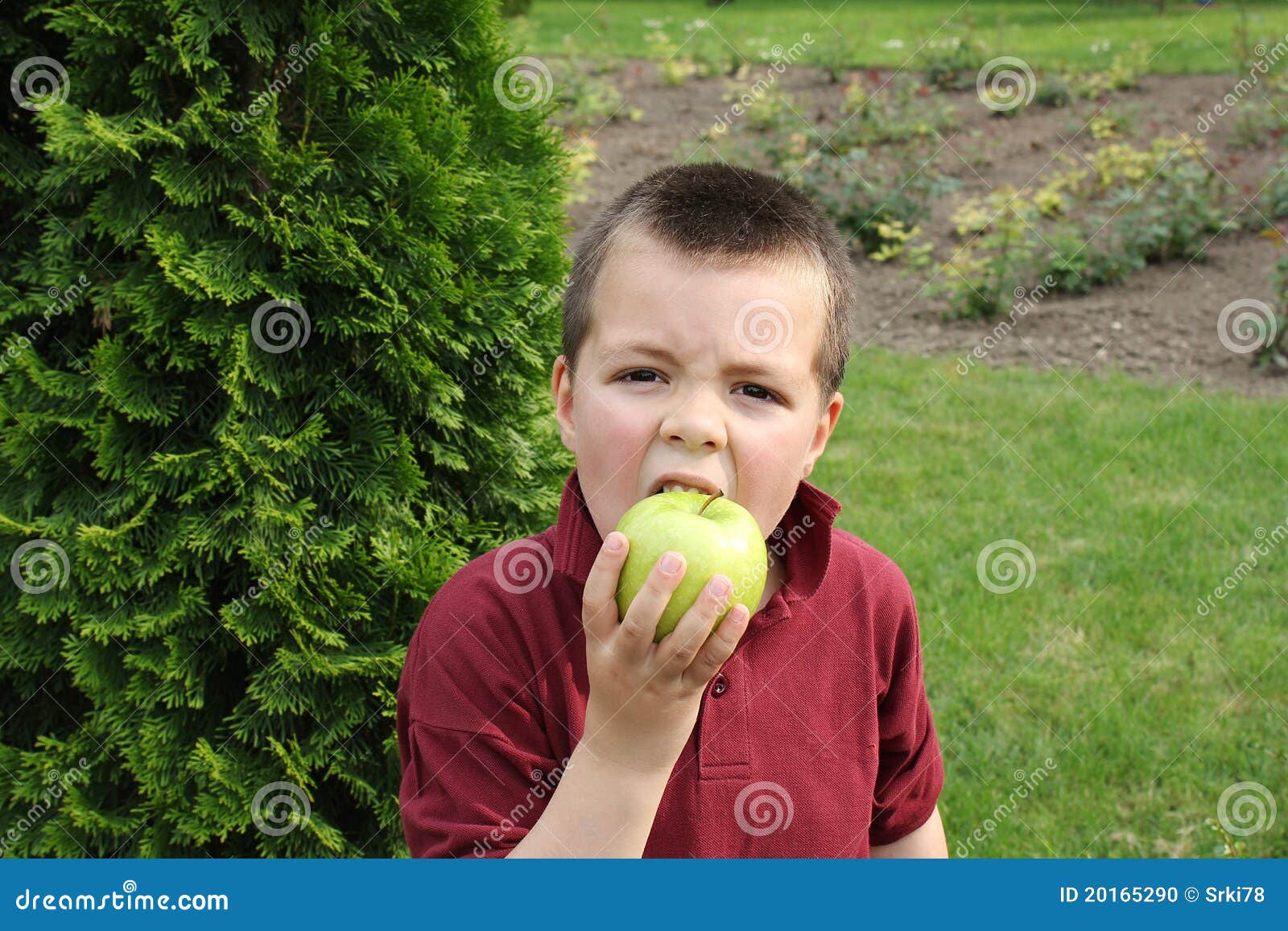 Little boy eating apple stock photo. Image of little - 20165290