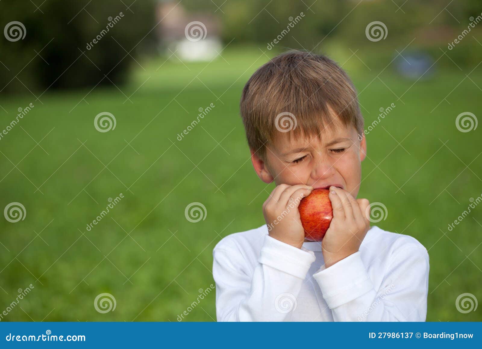 Little boy eating an apple stock image. Image of fruits - 27986137