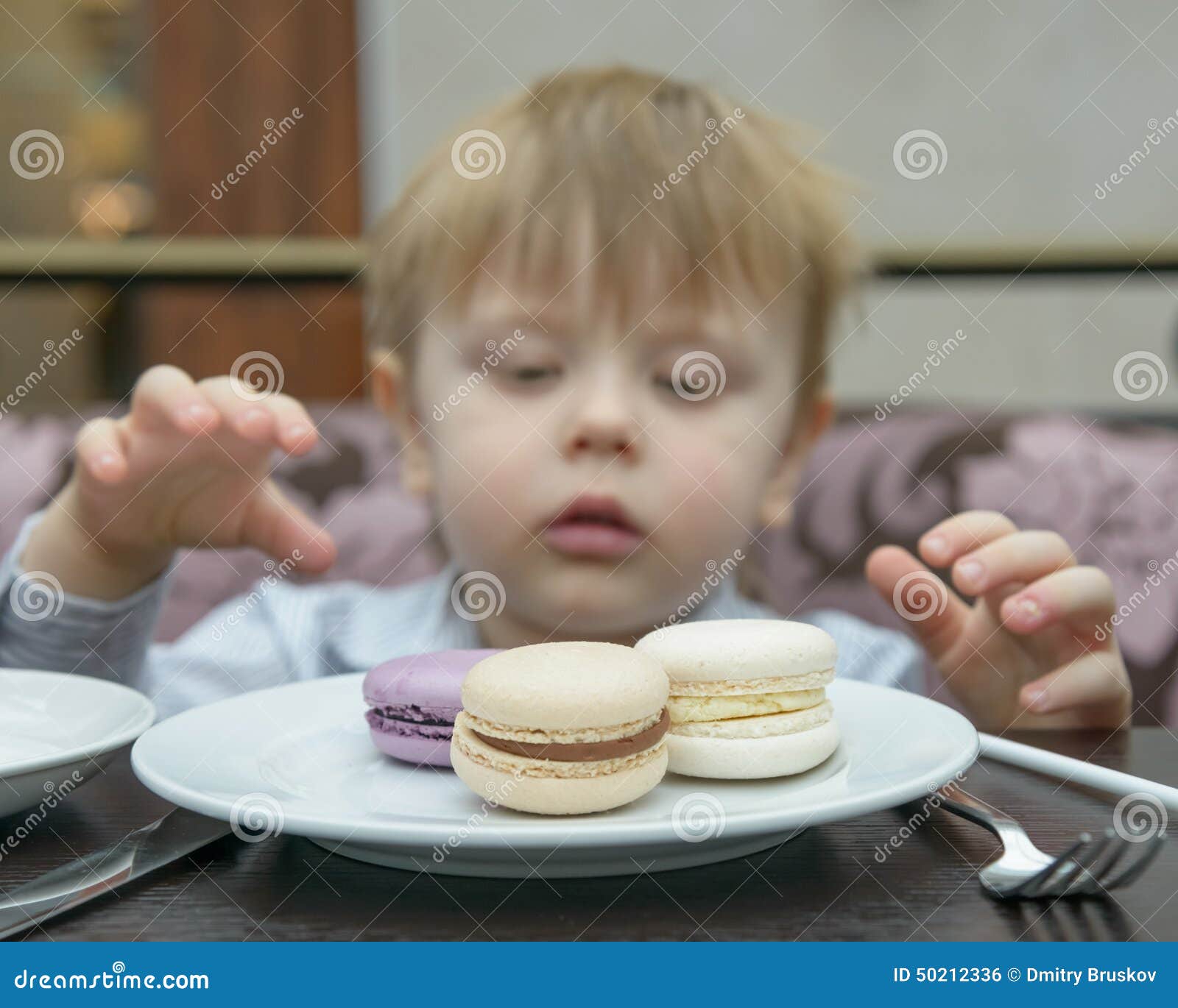 Little boy eating cake stock photo. Image of child, male - 50212336