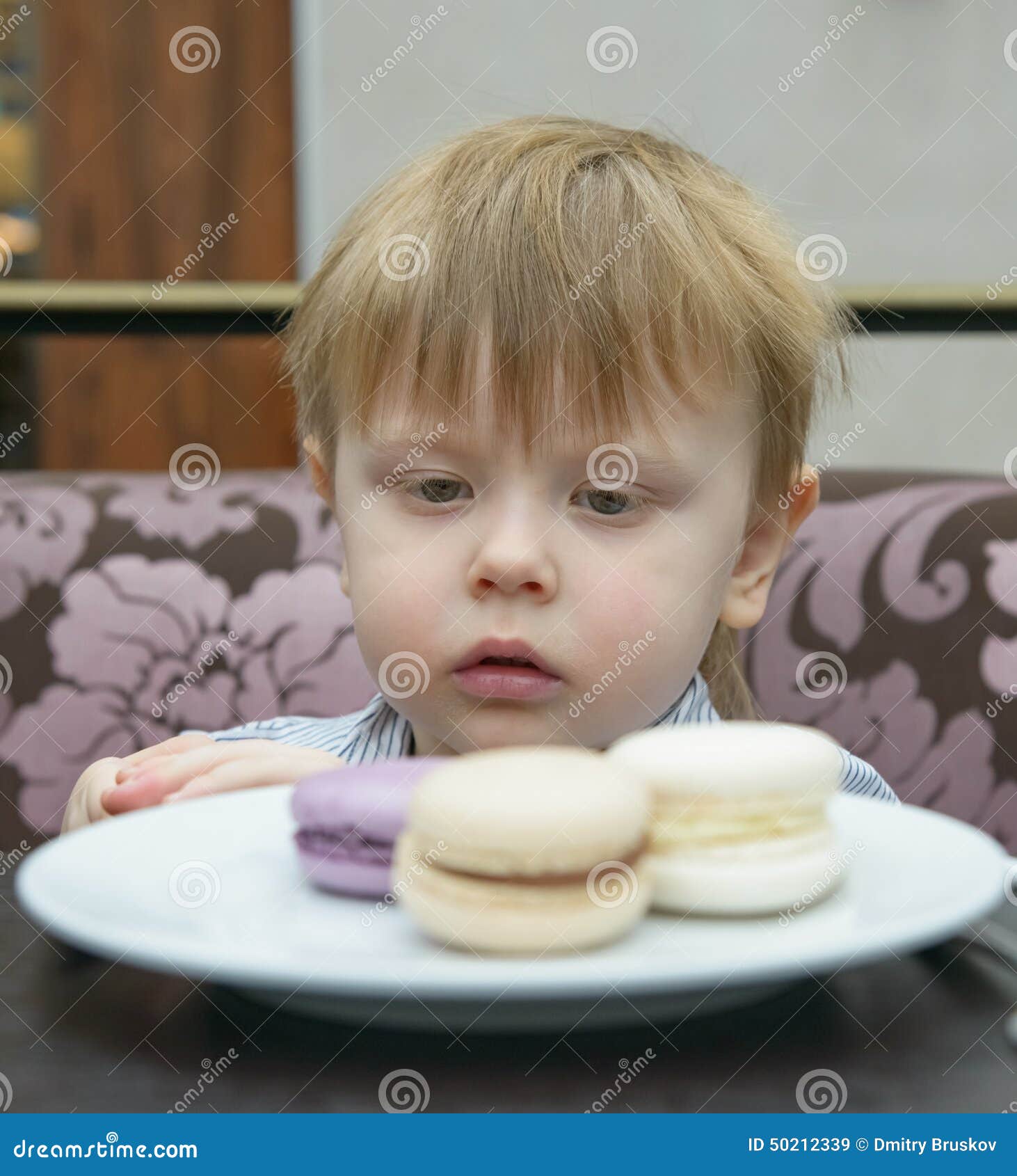 Little boy eating cake stock image. Image of focus, happy - 50212339
