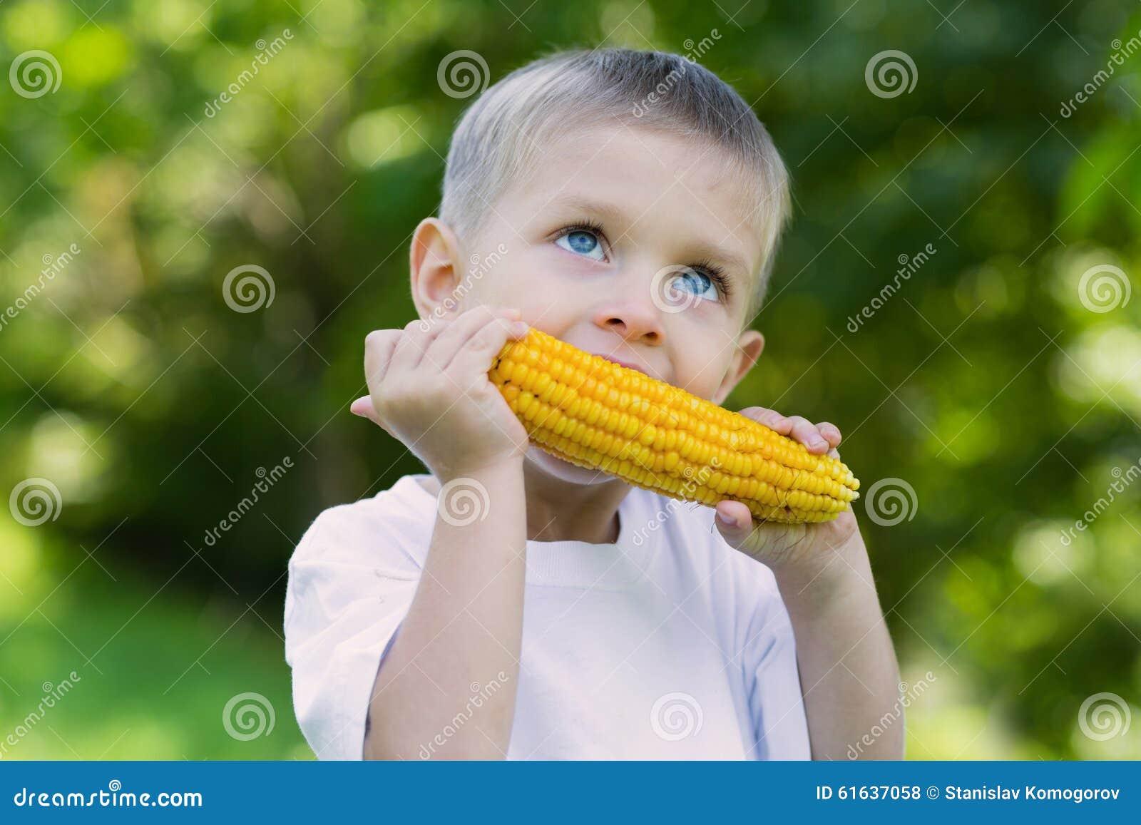 Little boy eating corn stock photo. Image of girl, children - 61637058
