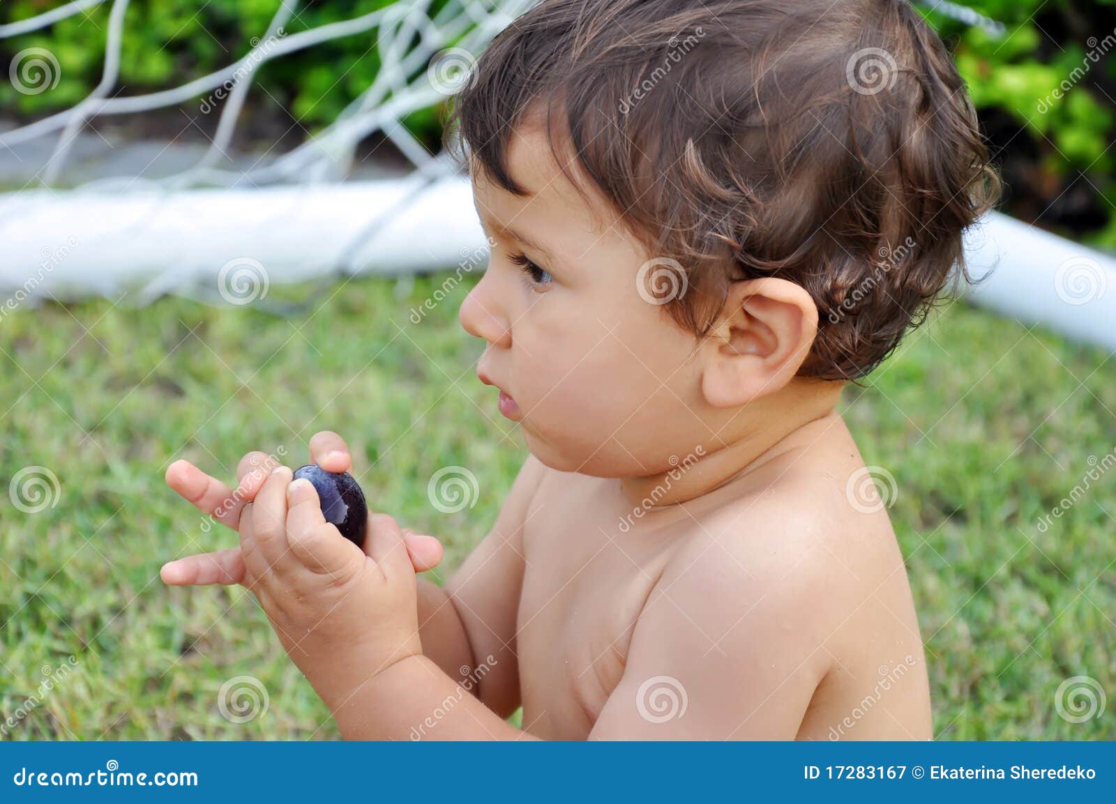 Little Boy Eating Grape on Grass Stock Image - Image of grape, holding ...