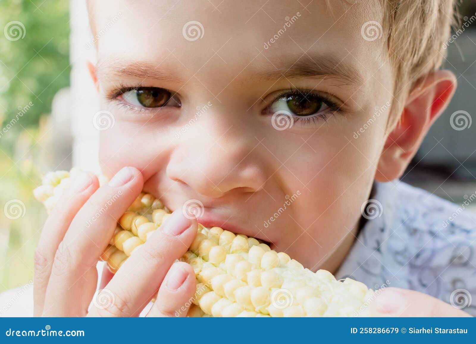 Little boy eats corn stock image. Image of small, eating - 258286679