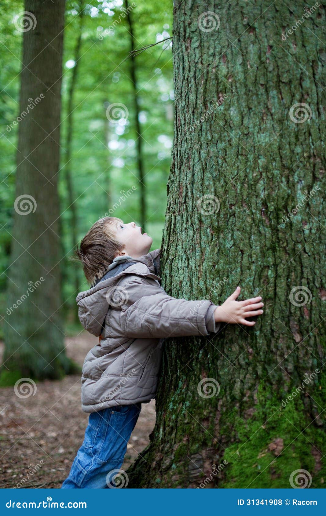 Young Boy Hugging A Tree