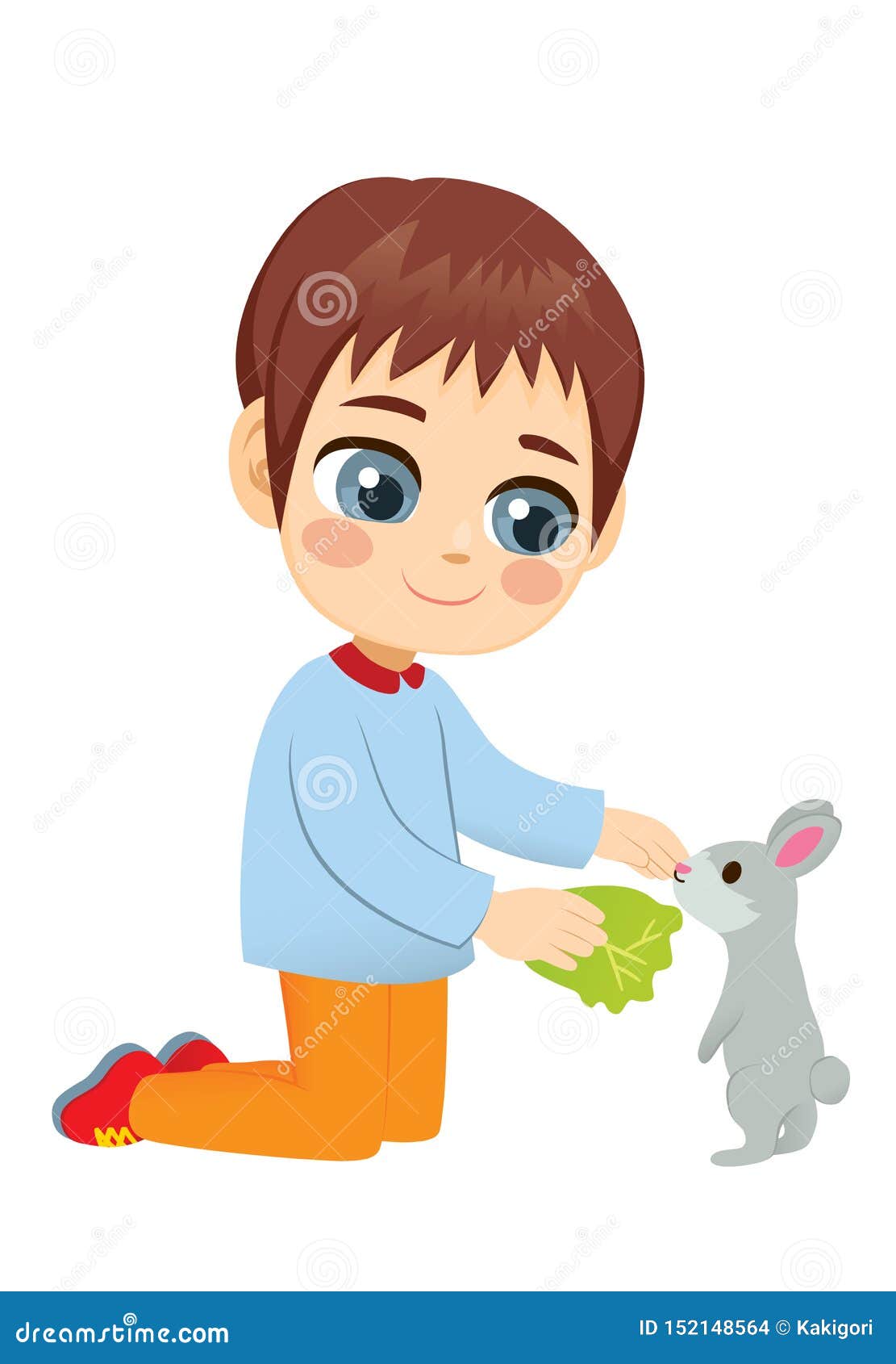 Little Boy Feeding Pet Rabbit Stock Vector - Illustration of food ...