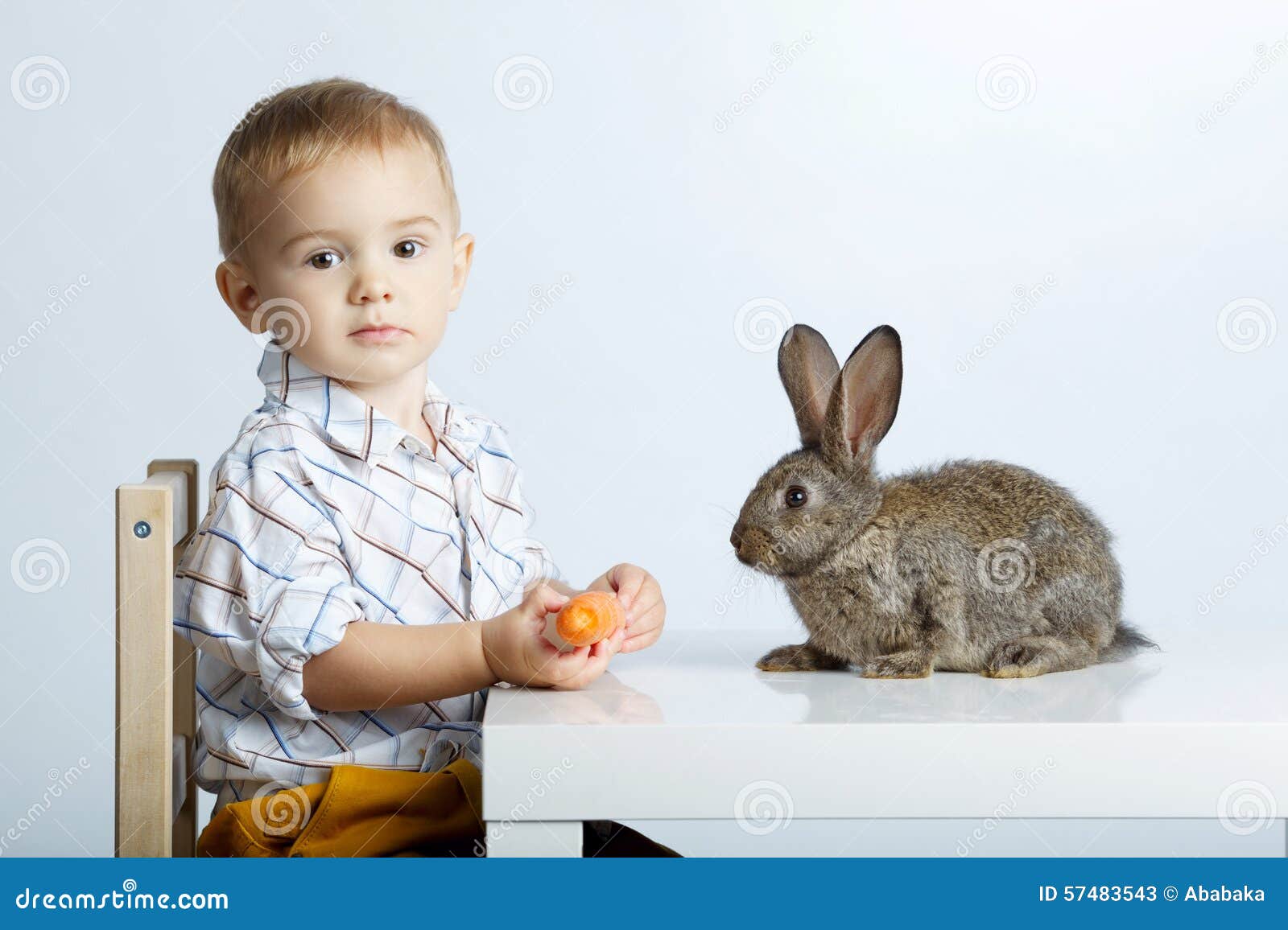 Little Boy Feeding Rabbit with Carrot Stock Image - Image of easter ...