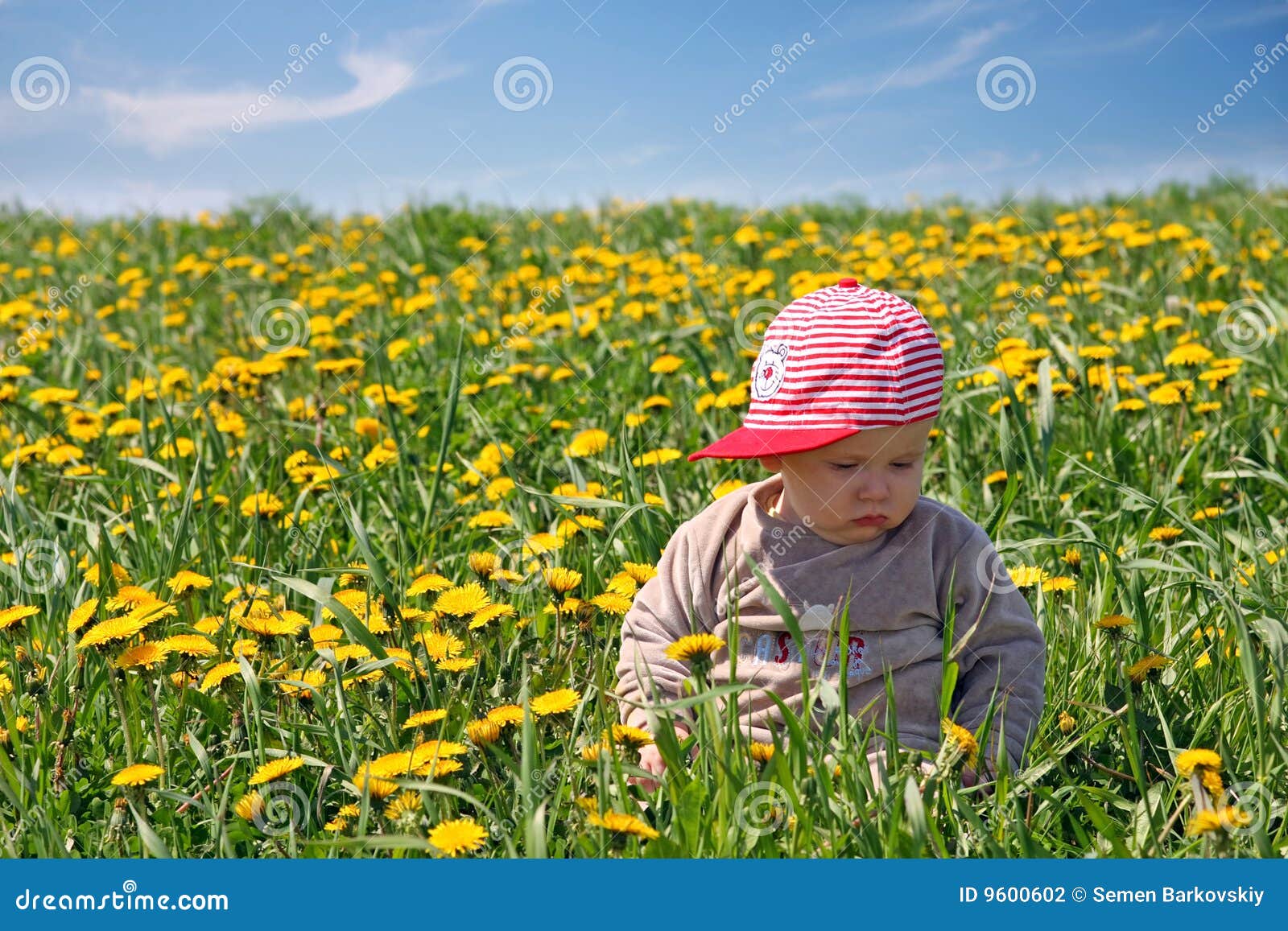 Little boy on the field stock photo. Image of person, child - 9600602