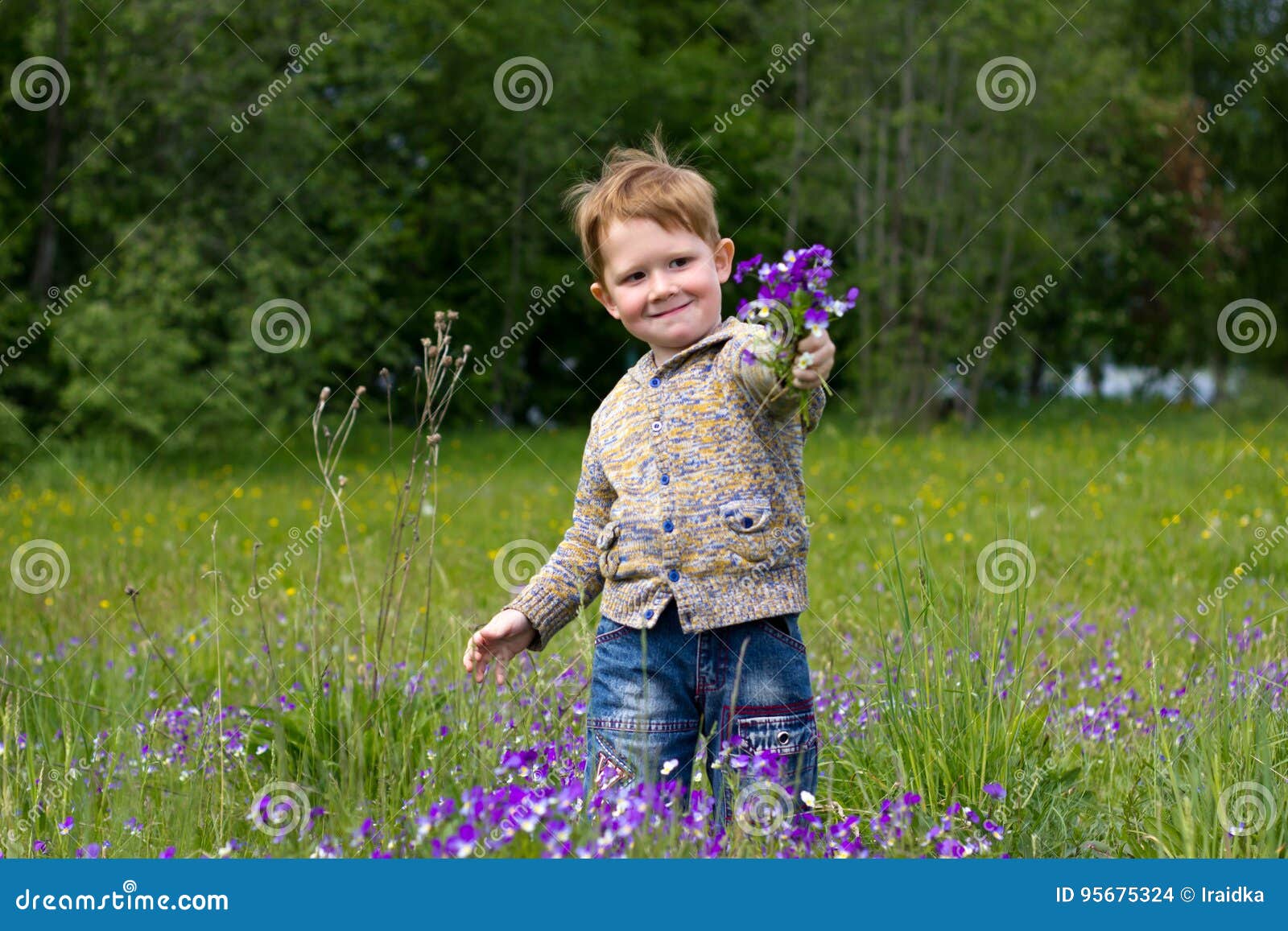 Little Boy in the Field of Violets Stock Photo - Image of handsome ...