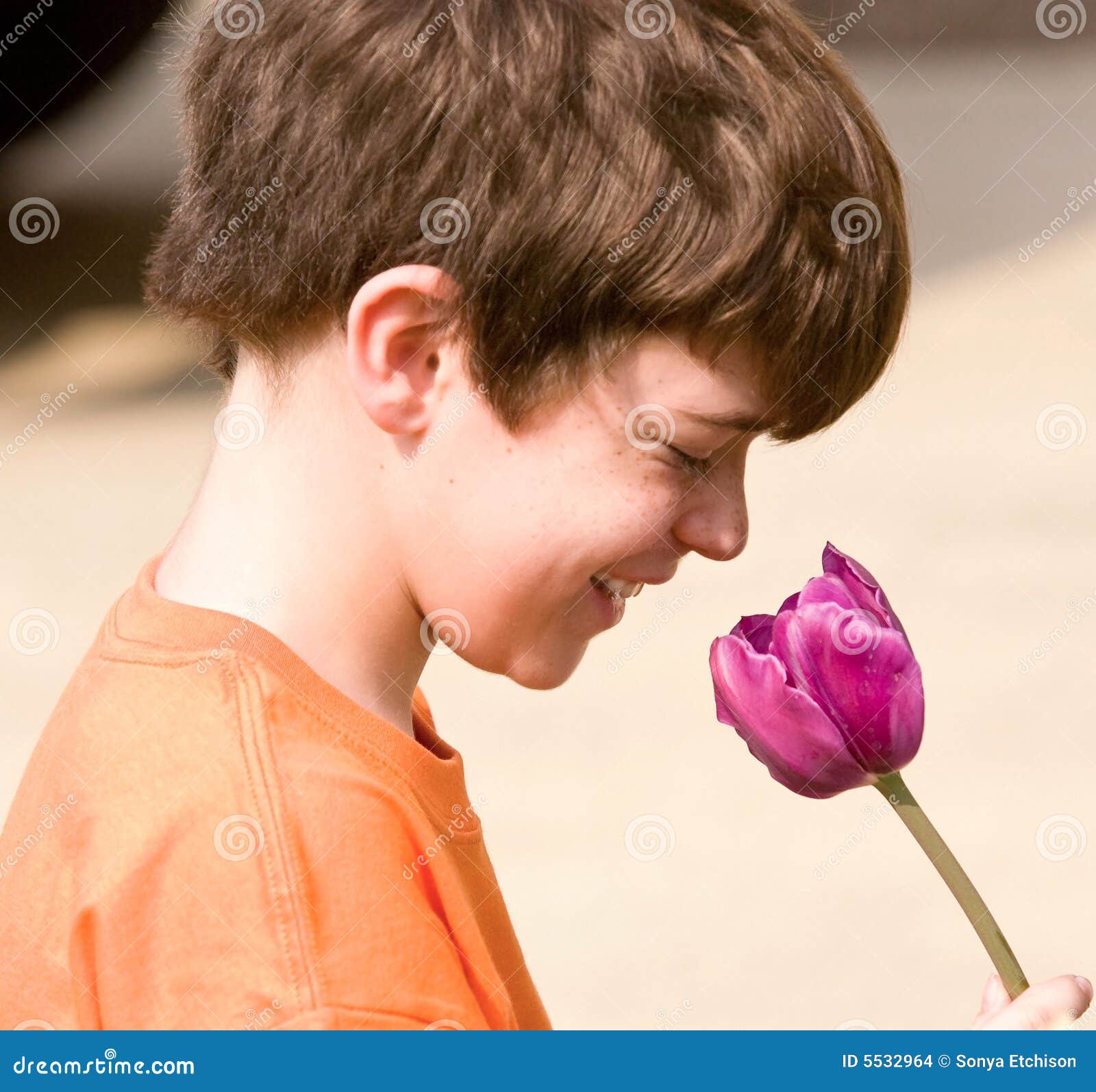 Little Boy With A Flower Picture. Image: 5532964