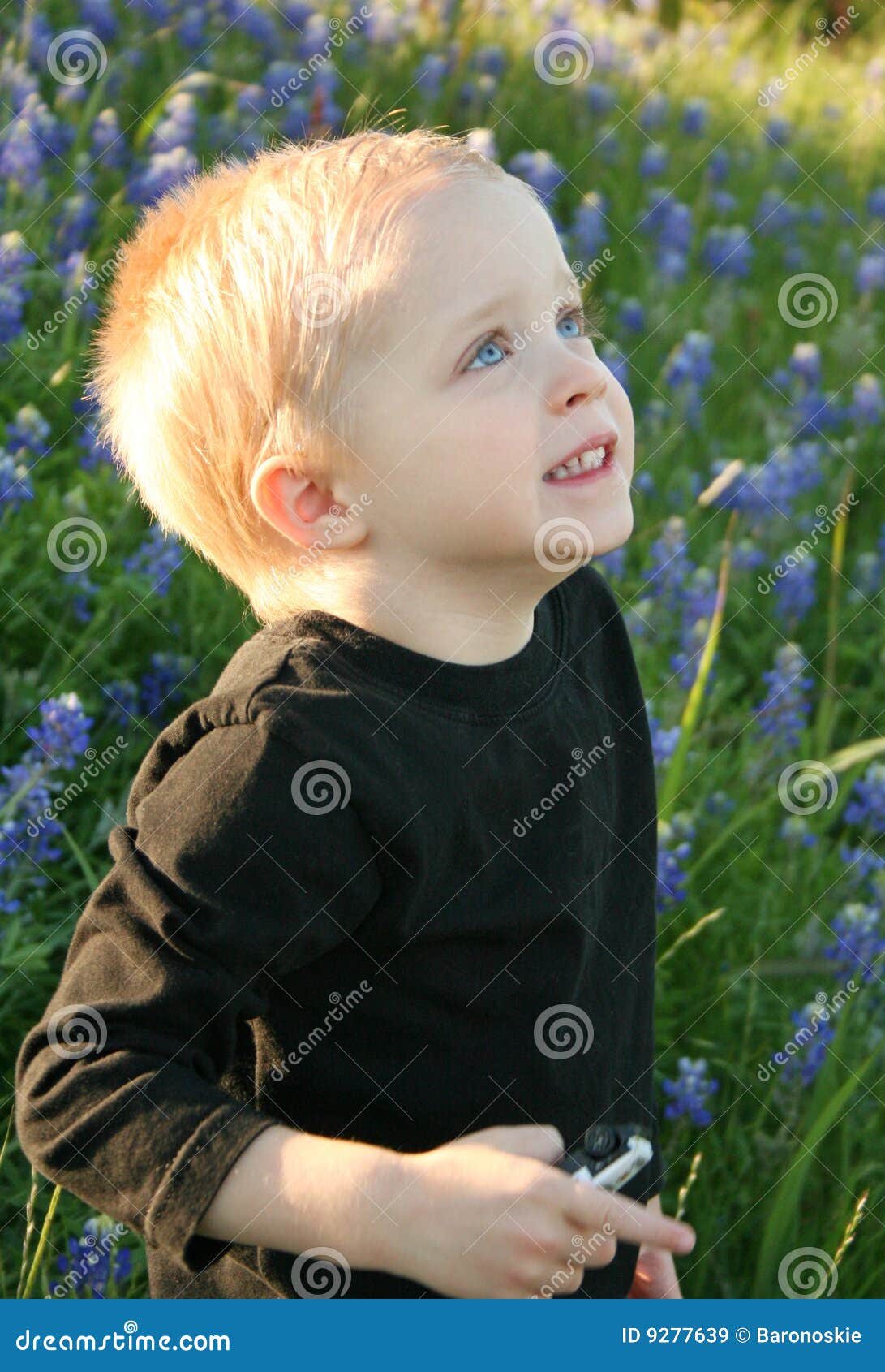Little Boy in Flowers stock image. Image of portrait, flower - 9277639