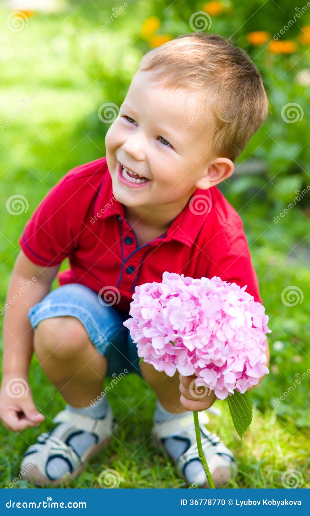 Little boy with flowers stock photo. Image of flowers - 36778770
