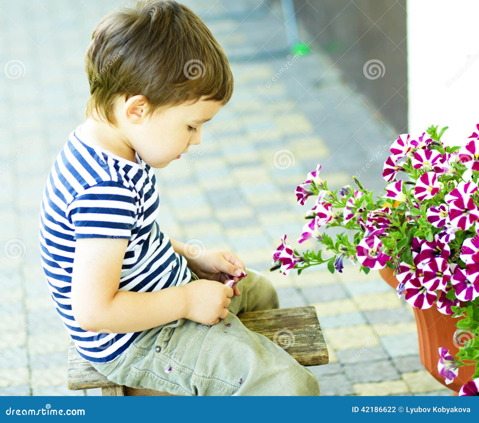 Little boy with flowers stock photo. Image of idea, flowers - 42186622