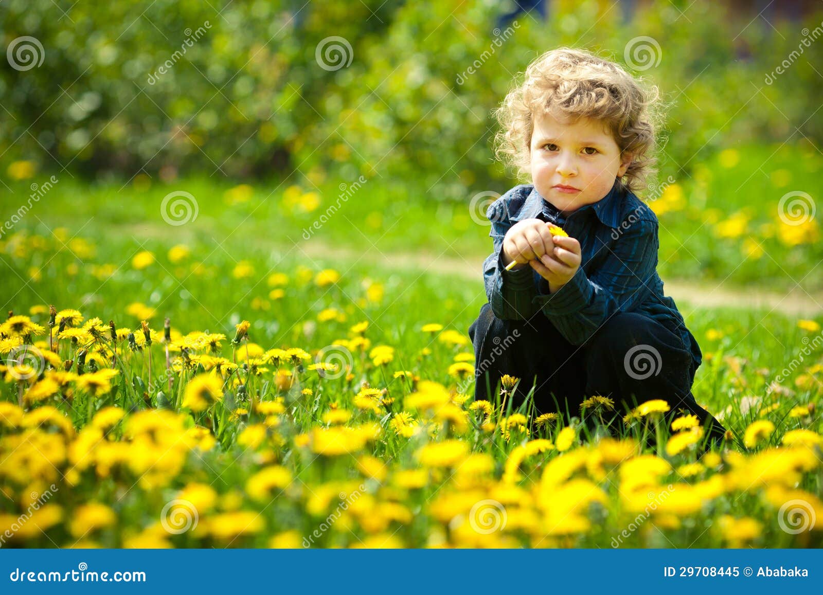Little Boy in Flowers Field Stock Image - Image of little, outdoors ...
