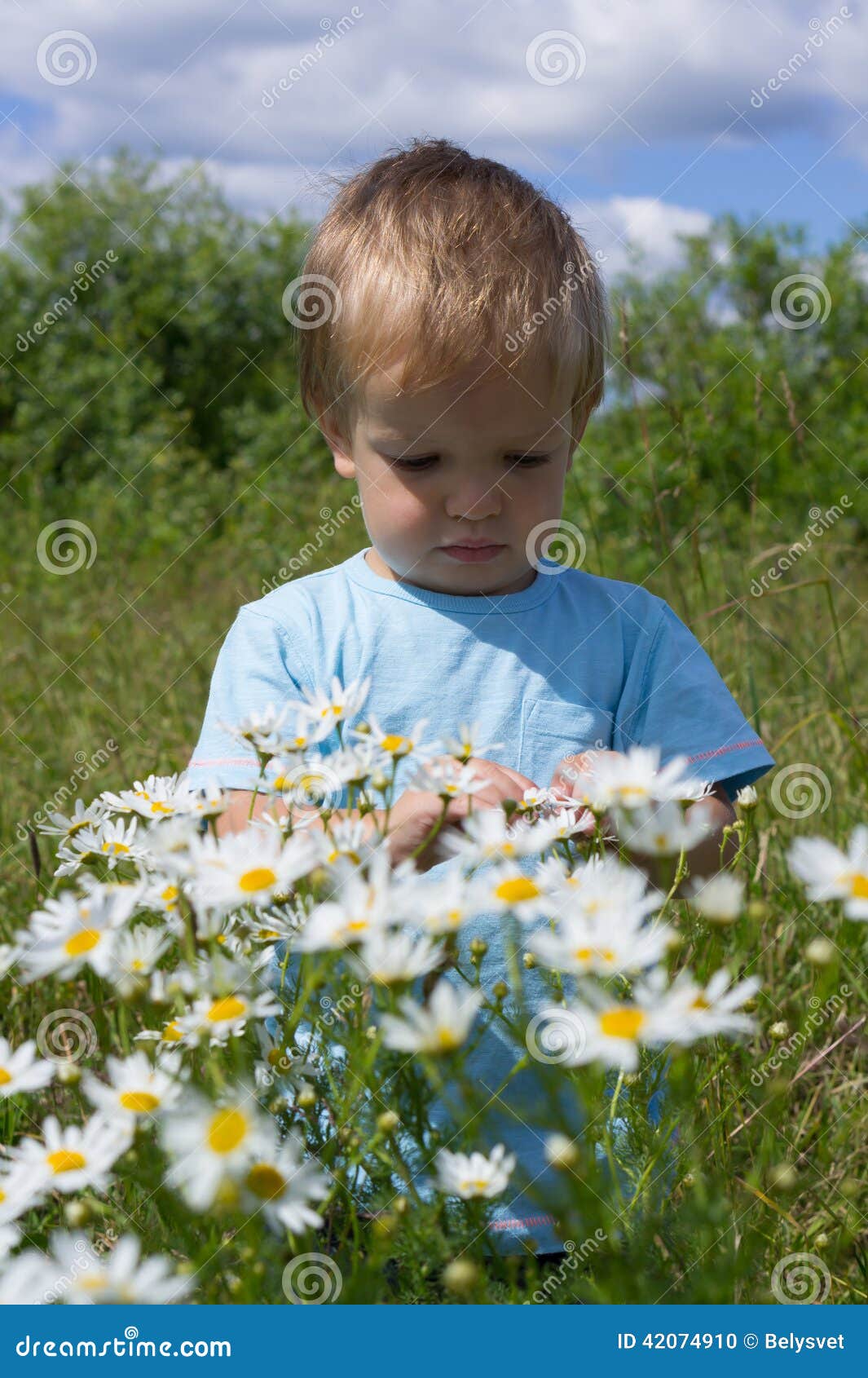 Little boy in flowers stock photo. Image of happy, cheerful - 42074910