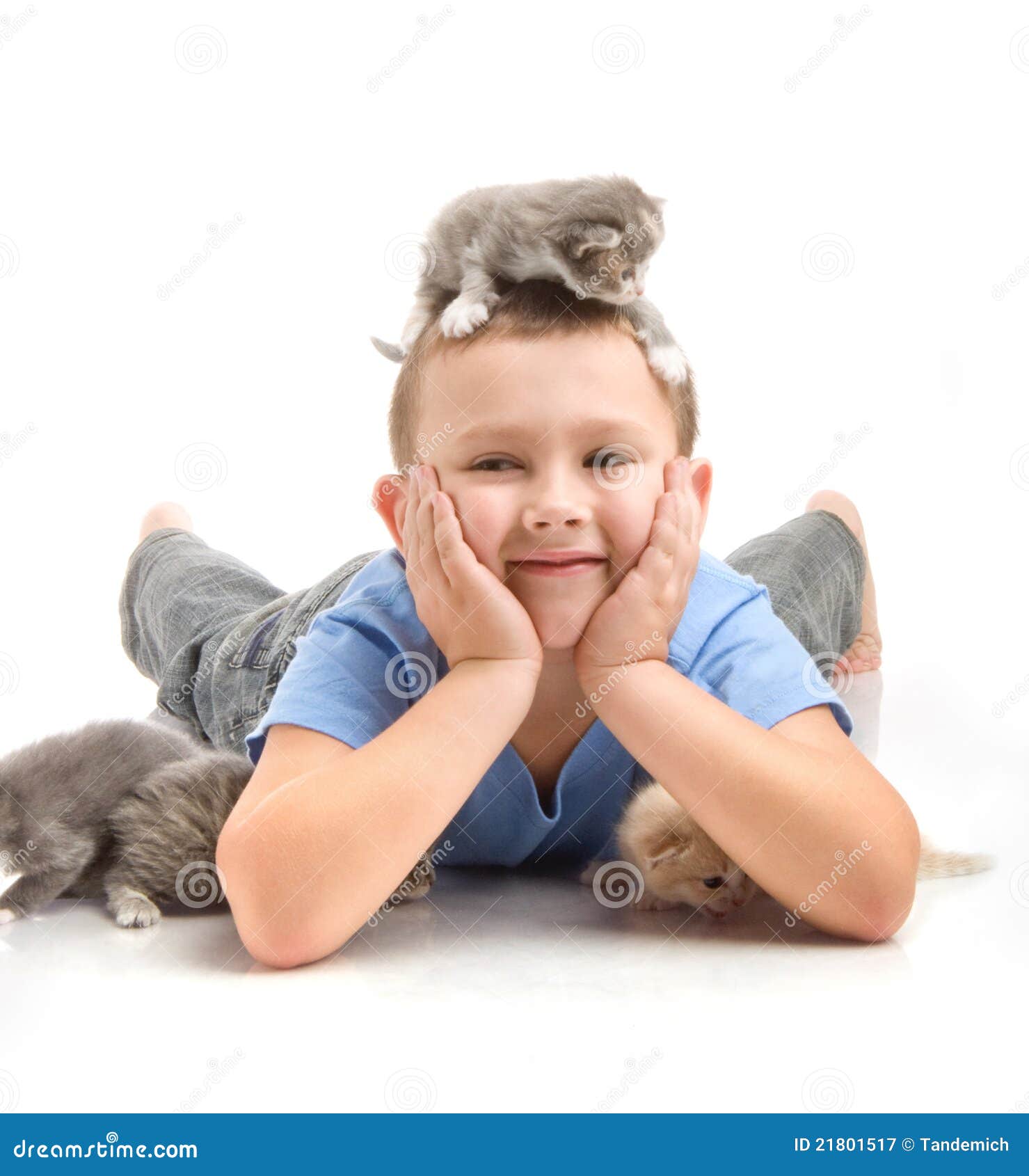 The Little Boy with a Fluffy Kitten Stock Image - Image of feline ...