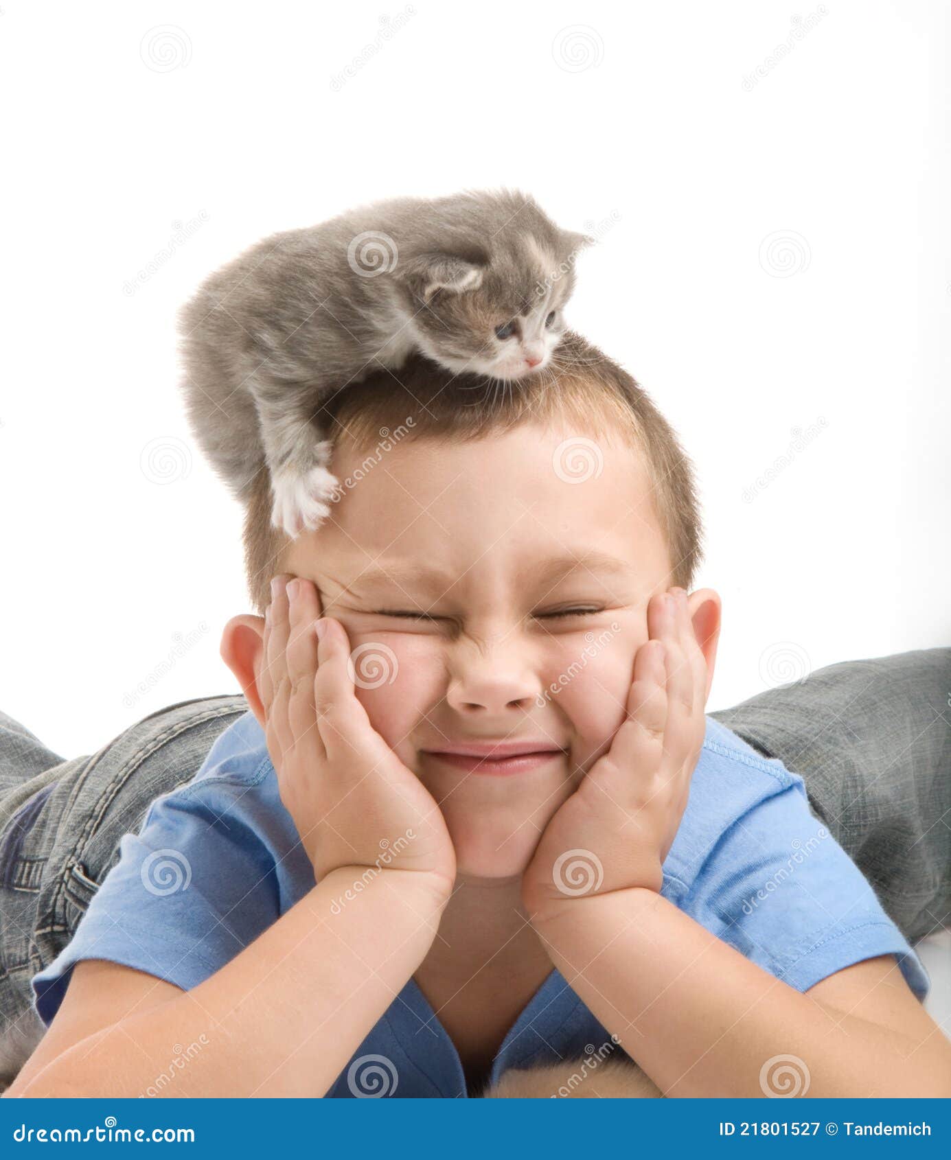 The Little Boy with a Fluffy Kitten Stock Image - Image of hair, face ...