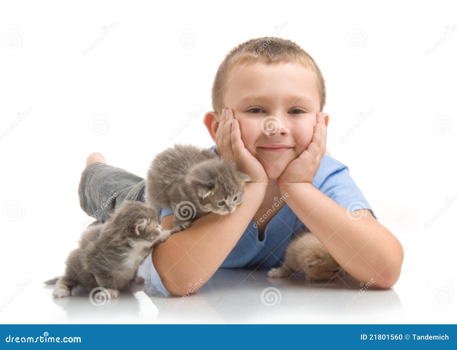 The Little Boy with a Fluffy Kitten Stock Photo - Image of happy, puppy ...