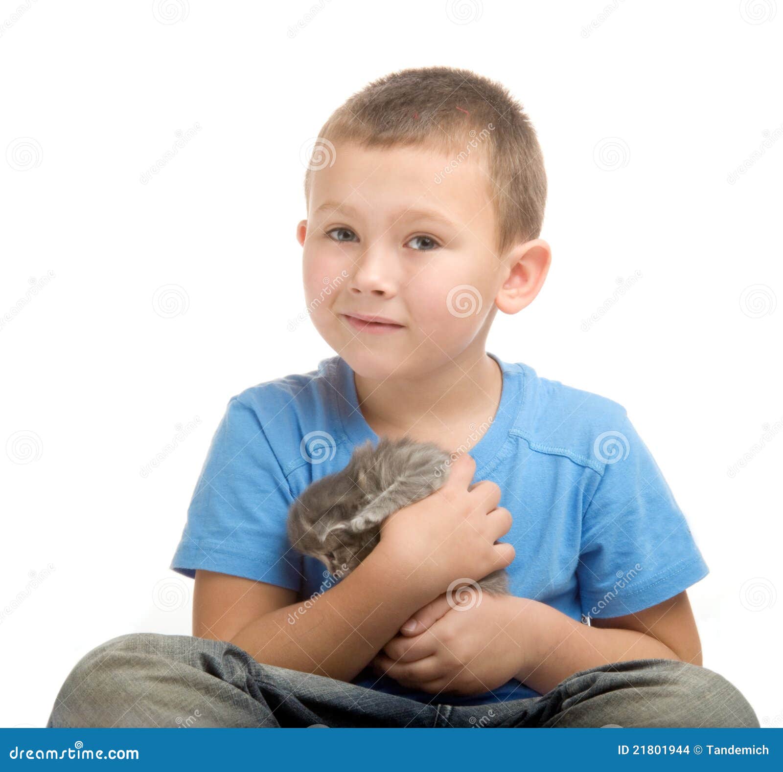 The Little Boy with a Fluffy Kitten Stock Photo - Image of clothing ...