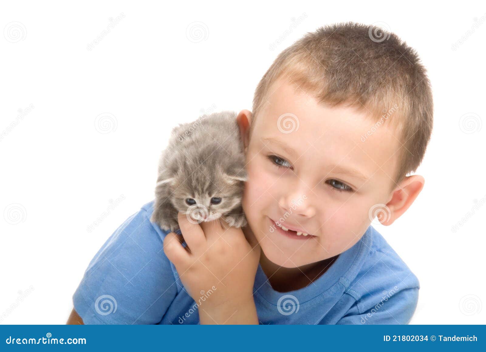 The Little Boy with a Fluffy Kitten Stock Photo - Image of clothes ...