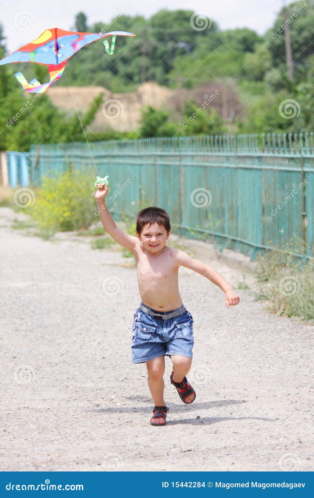 Little boy flying kite stock photo. Image of sunlight - 15442284
