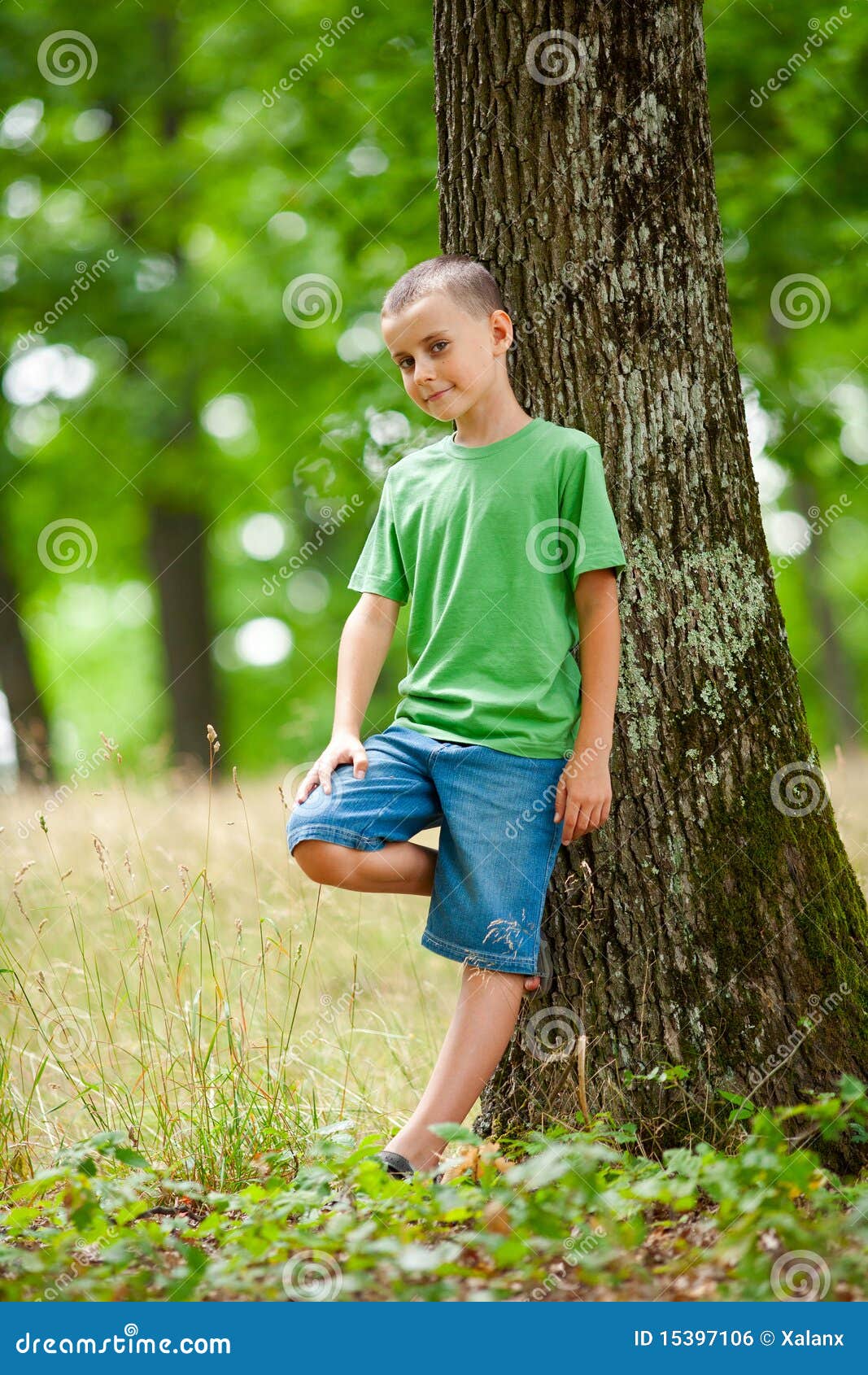 Little boy in the forest stock photo. Image of little - 15397106