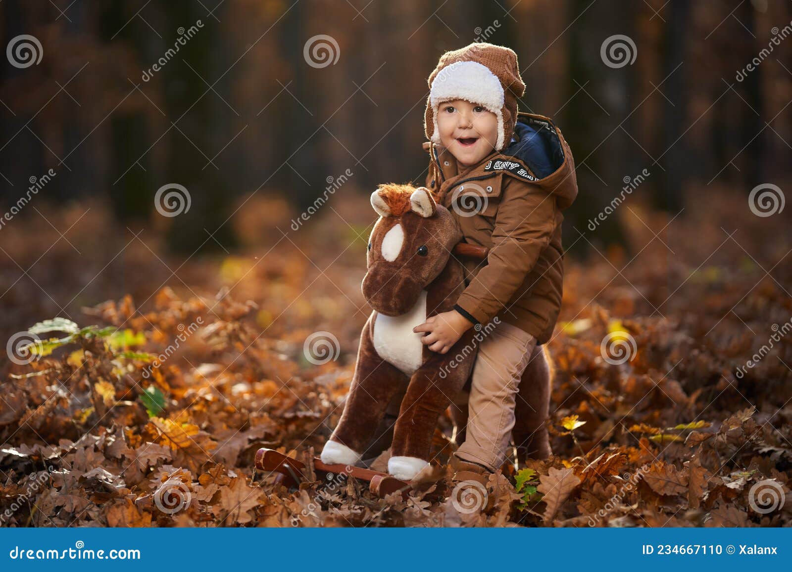 Little Boy in the Forest during Fall Stock Photo - Image of forest ...