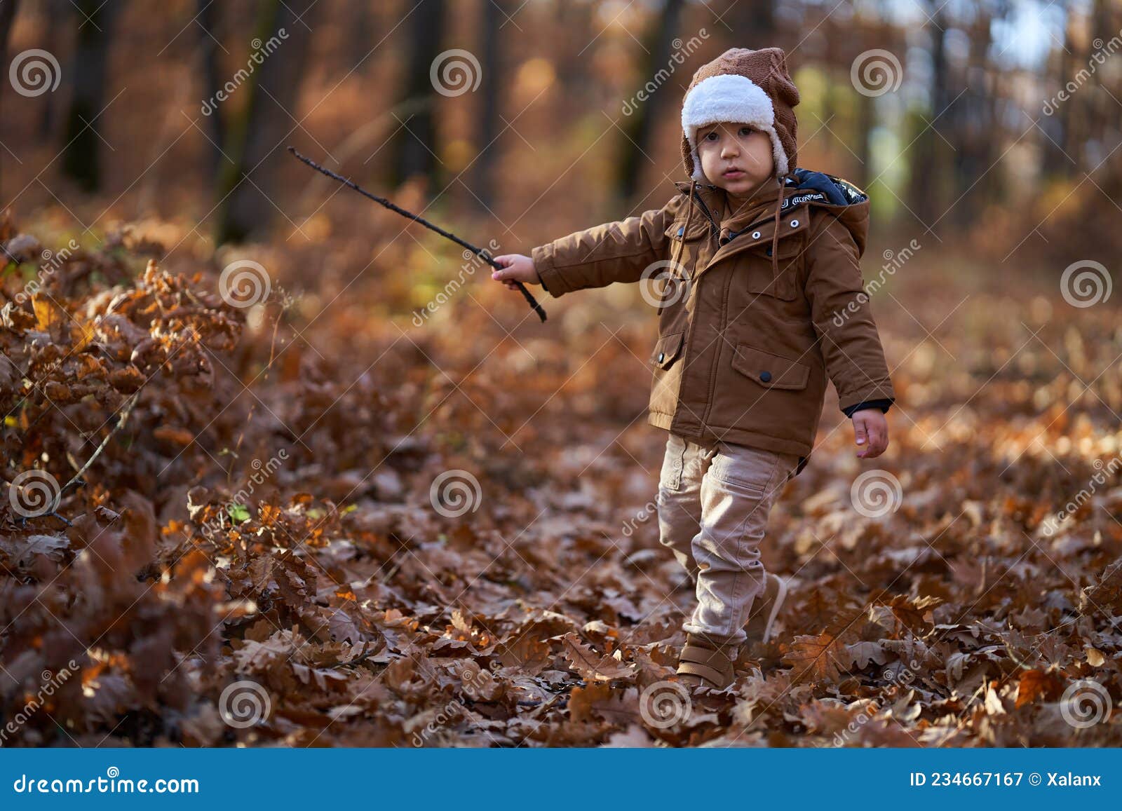 Little Boy in the Forest during Fall Stock Image - Image of adorable ...