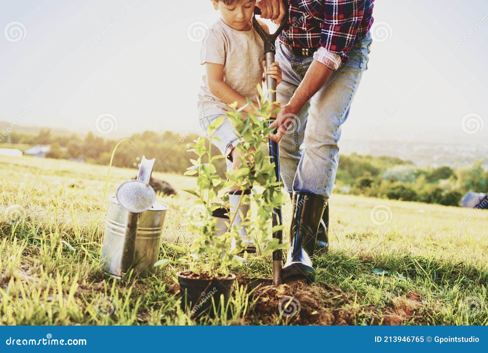 Little Boy Helping To Plant a Tree Stock Image - Image of living ...