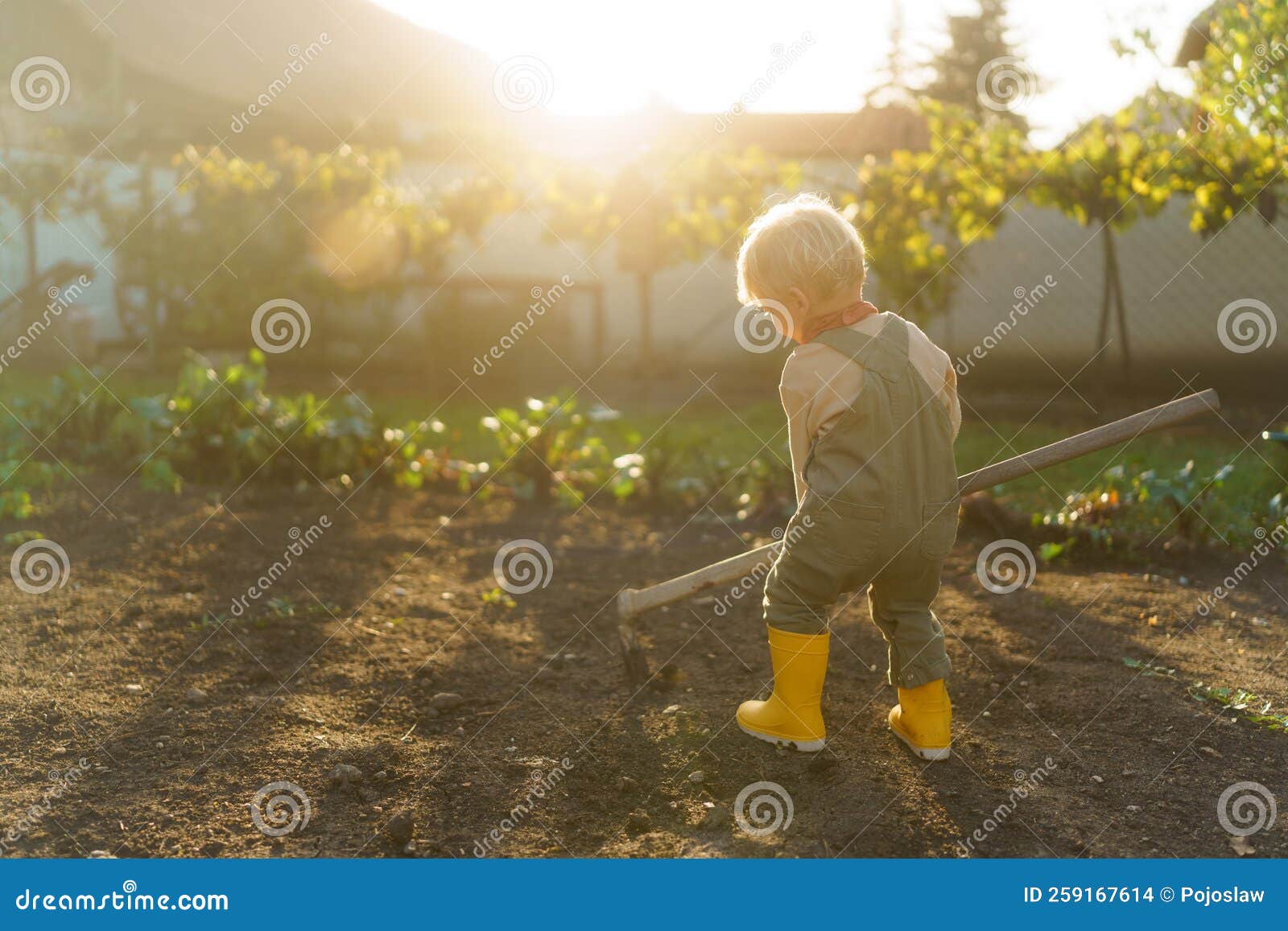 Little Boy with Hoe Working in Garden during Autumn Day. Stock Photo ...