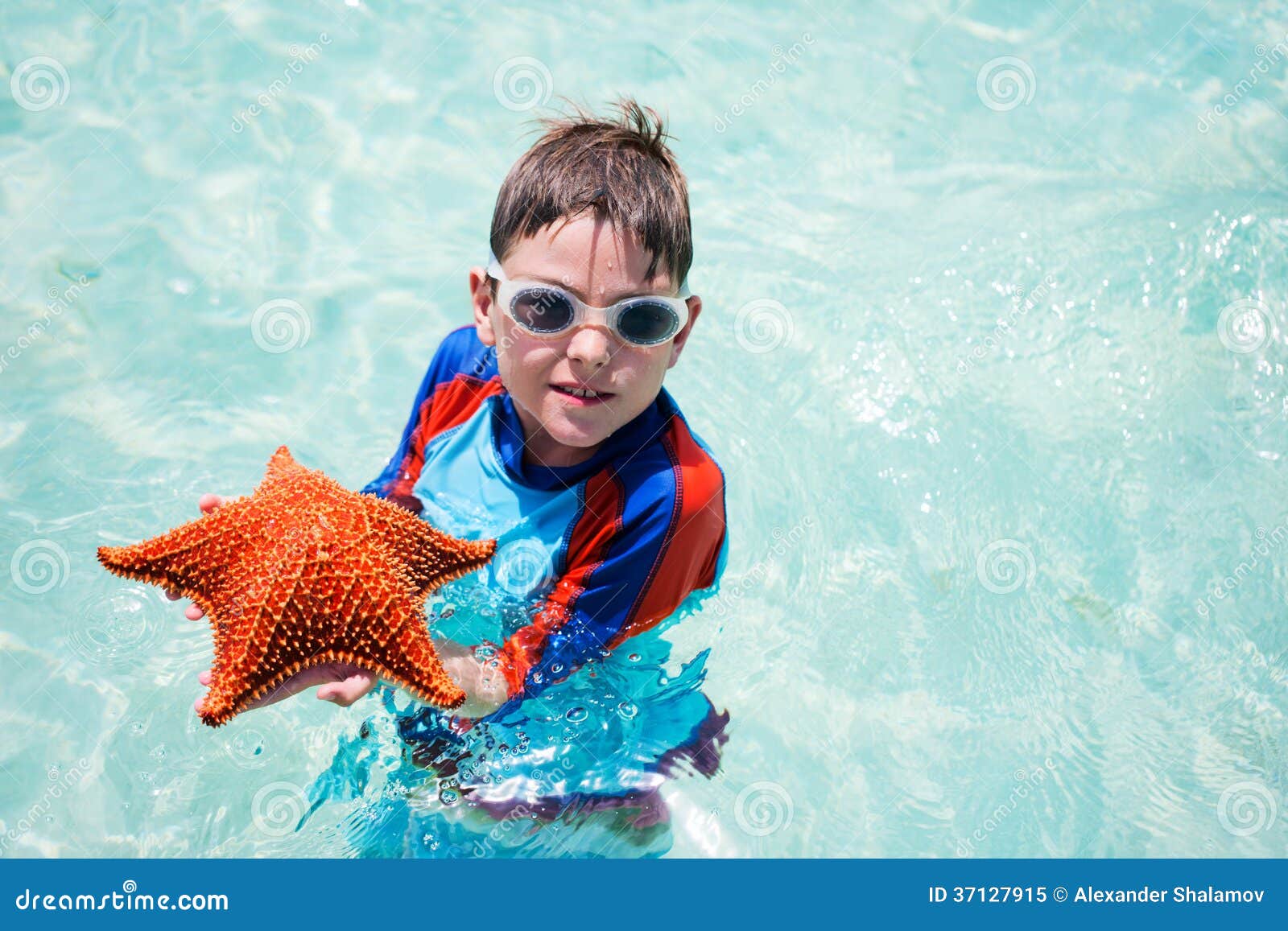 Little Boy Holding a Giant Starfish Stock Image - Image of caucasian ...